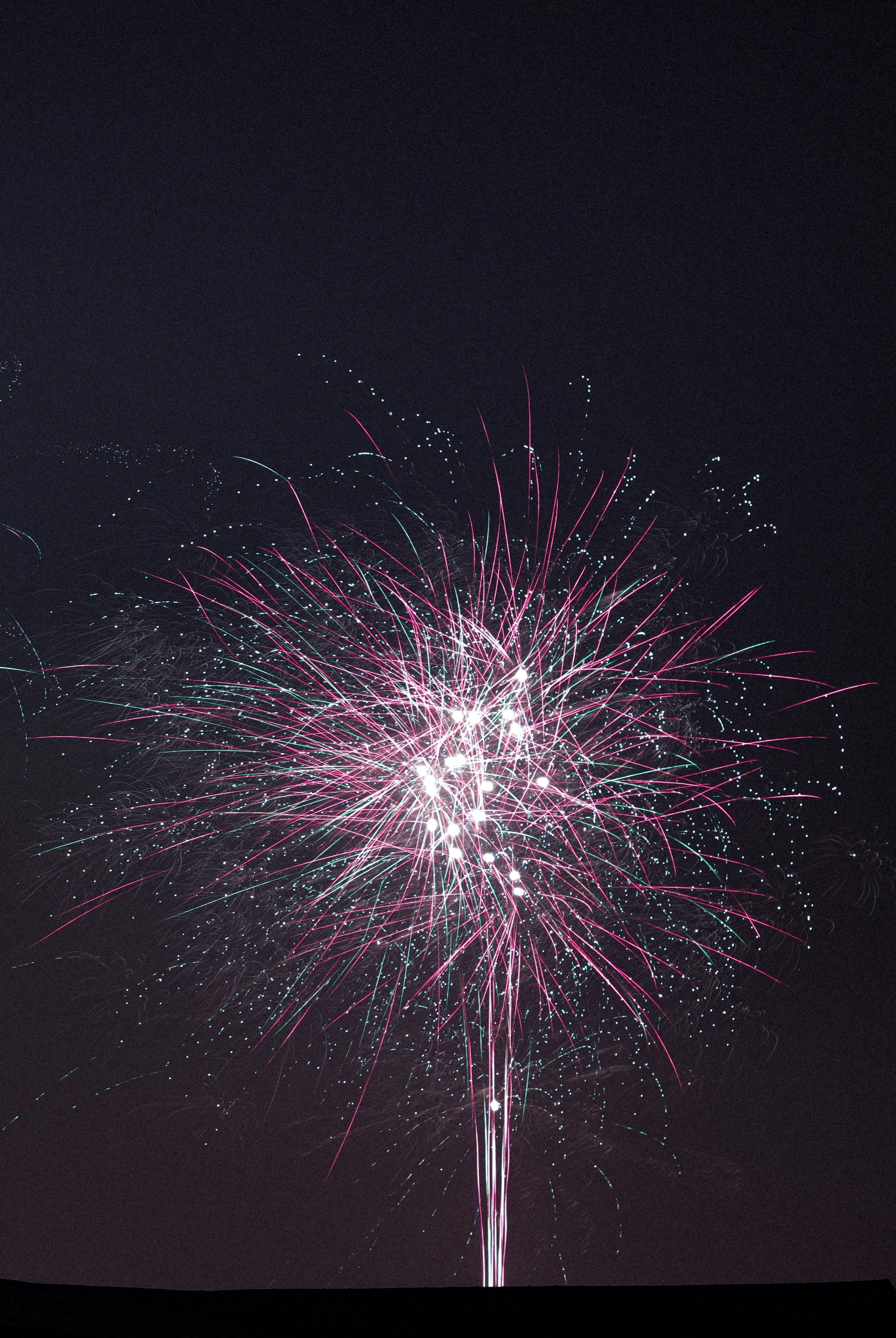 Night Sky with Fireworks · Free Stock Photo