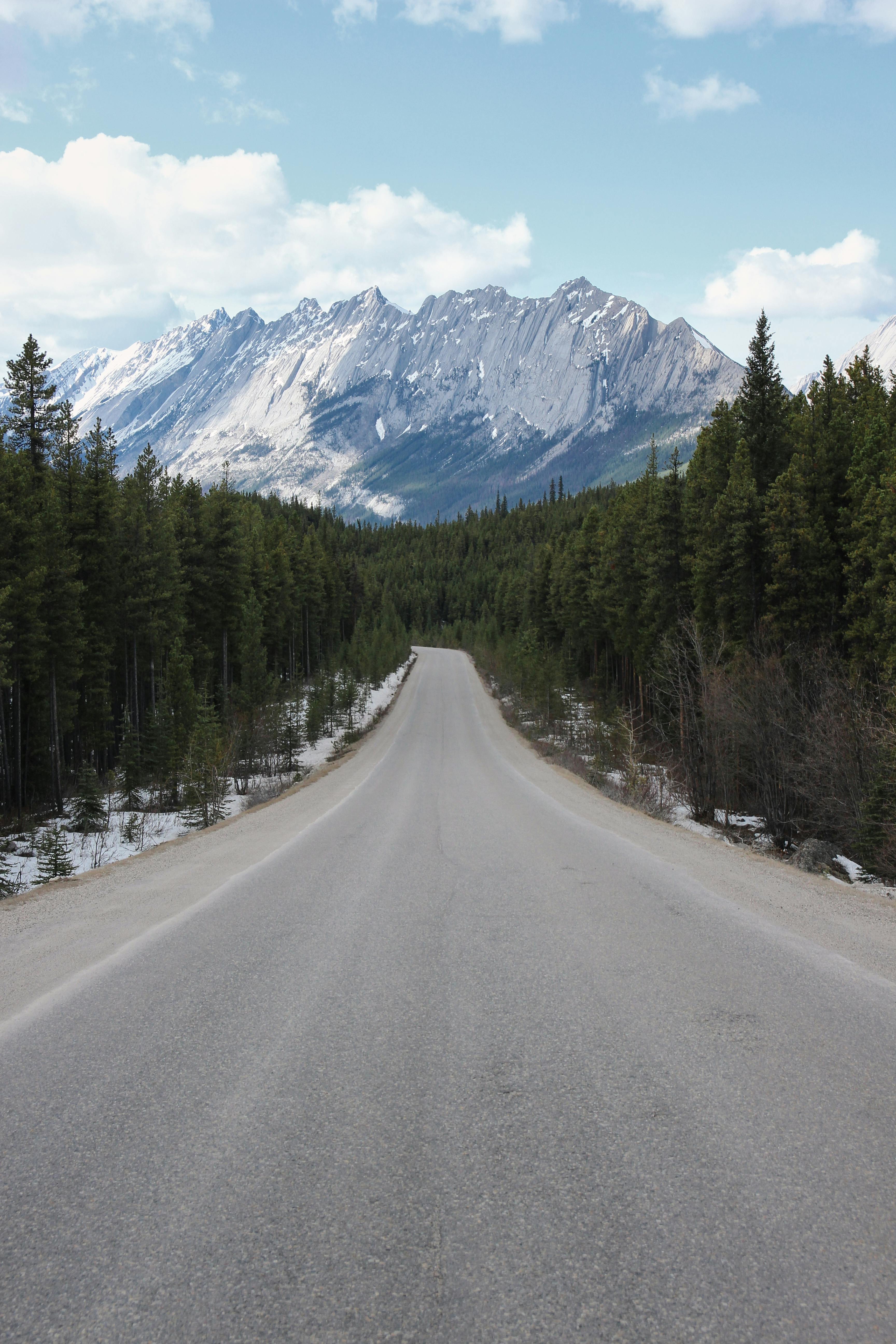 Green Trees over Road · Free Stock Photo