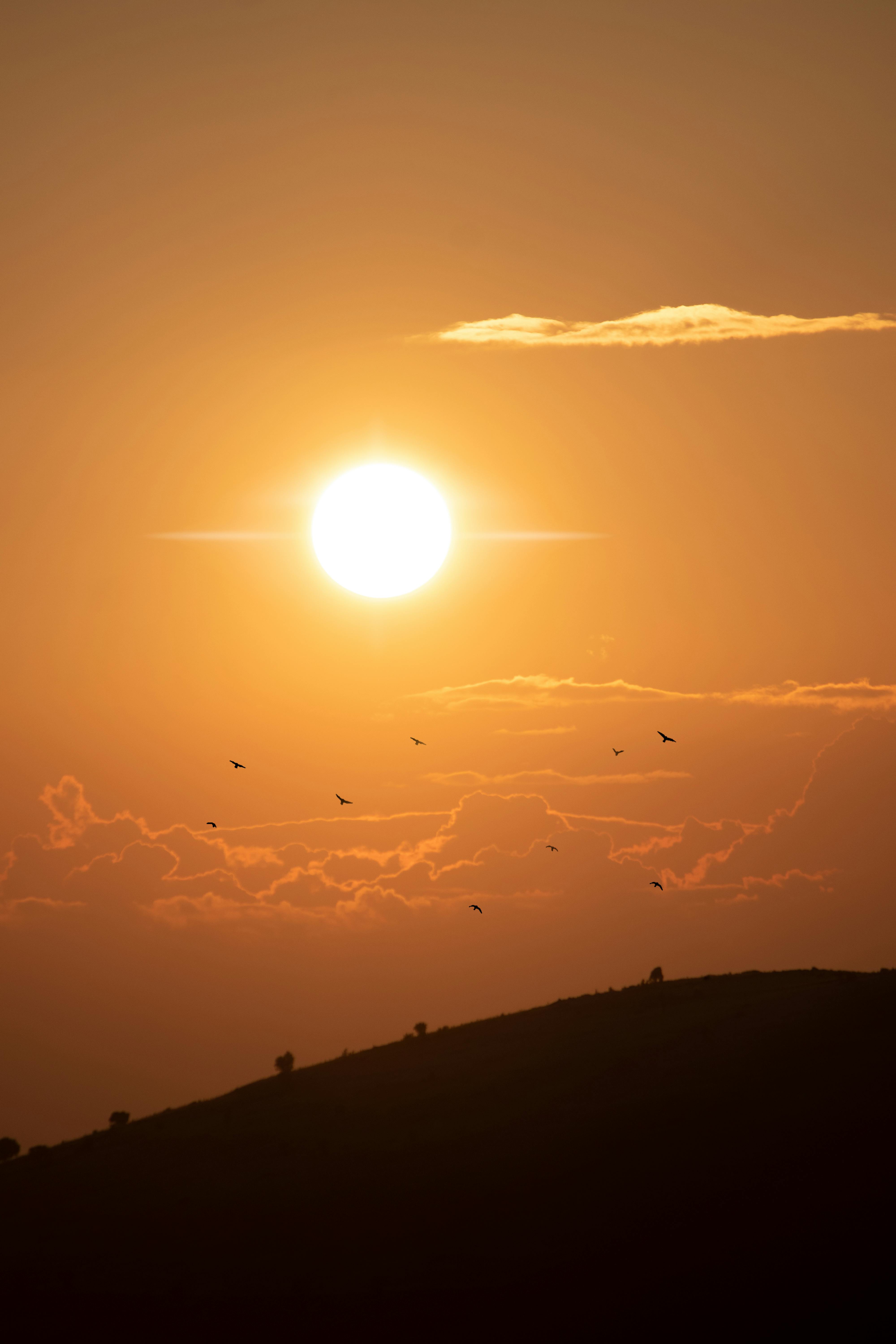 Photo of the Sun · Free Stock Photo