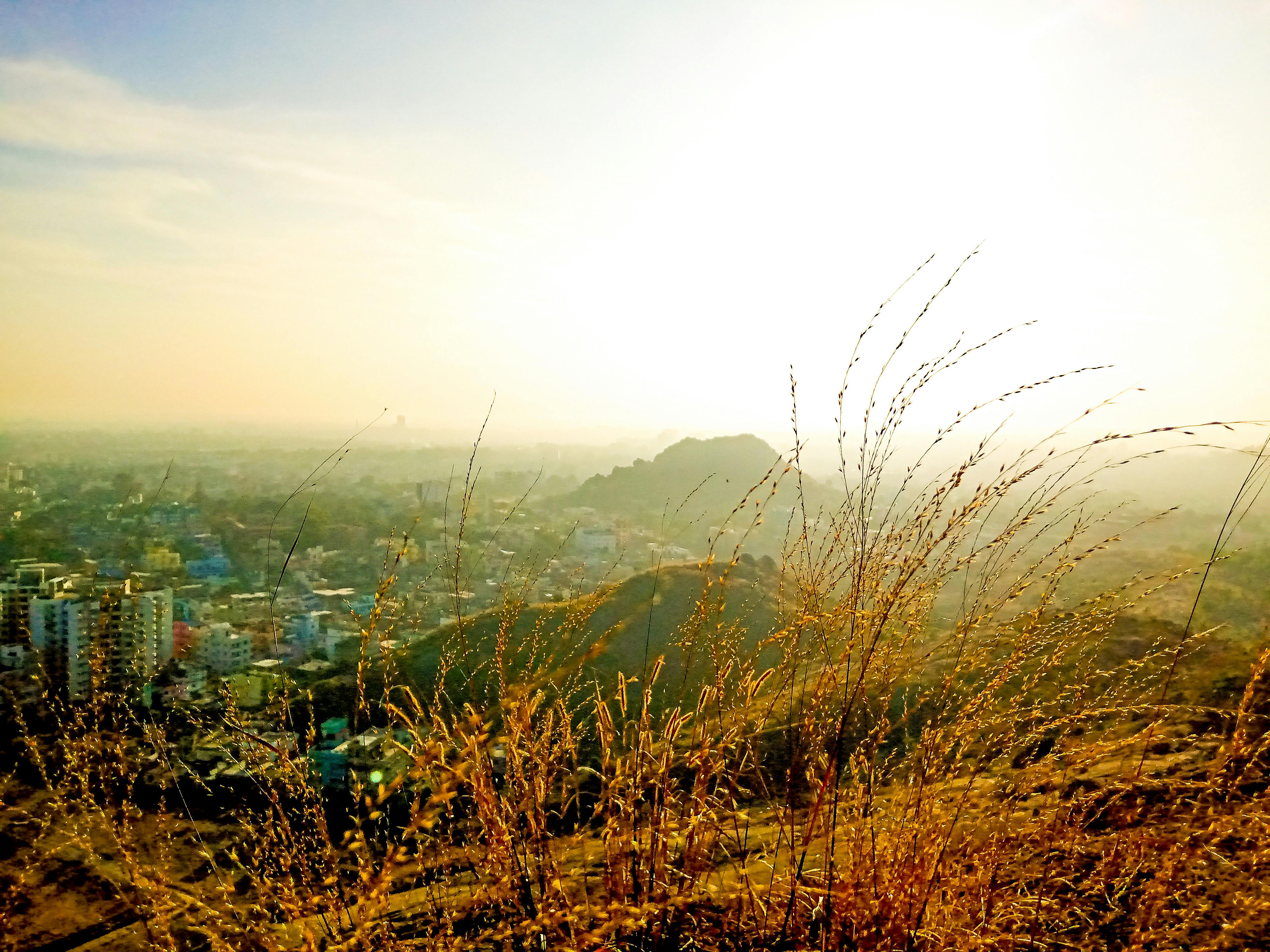 Rahul Anand - 사진