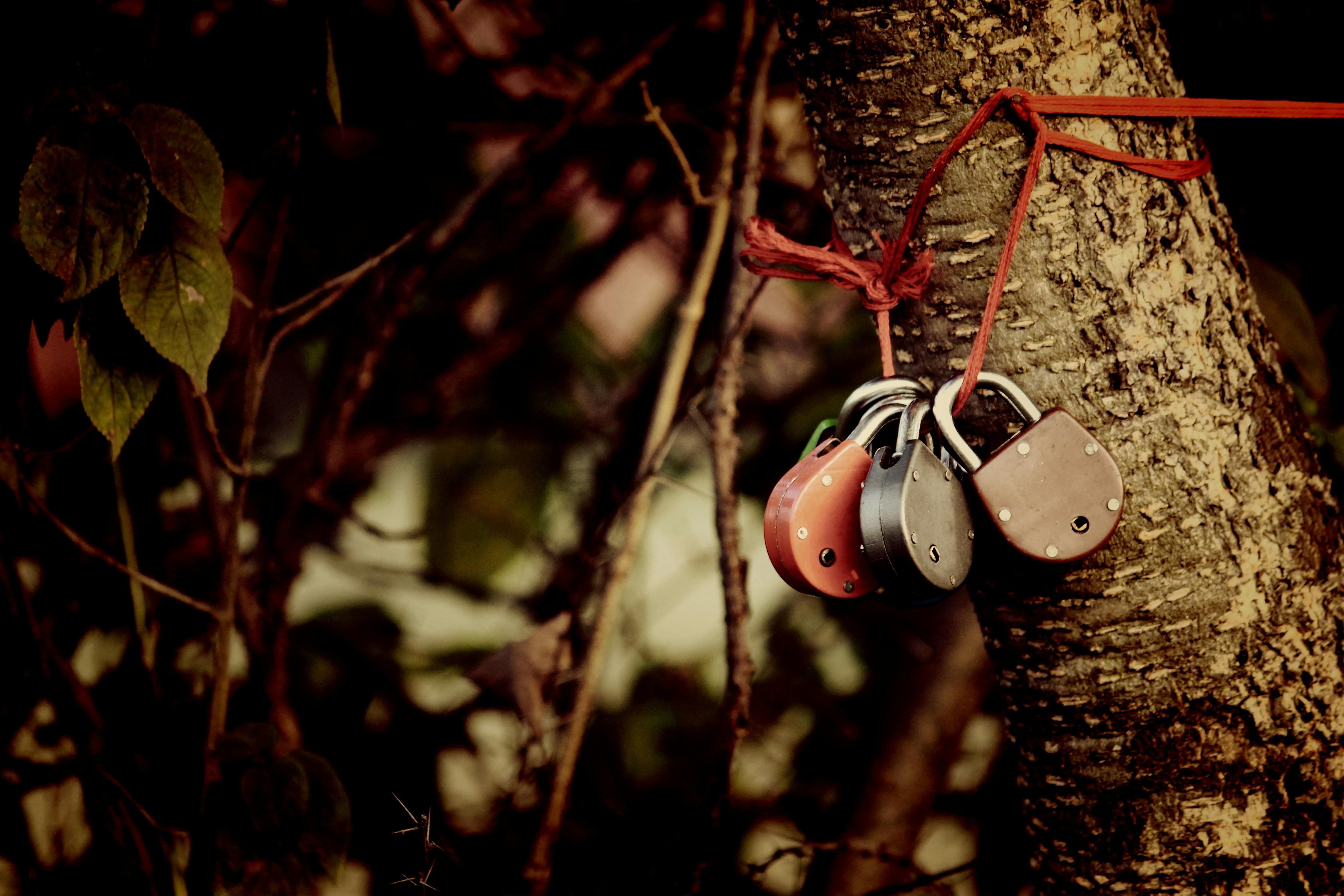 Rope Murder Photos, Download The BEST Free Rope Murder Stock Photos ...