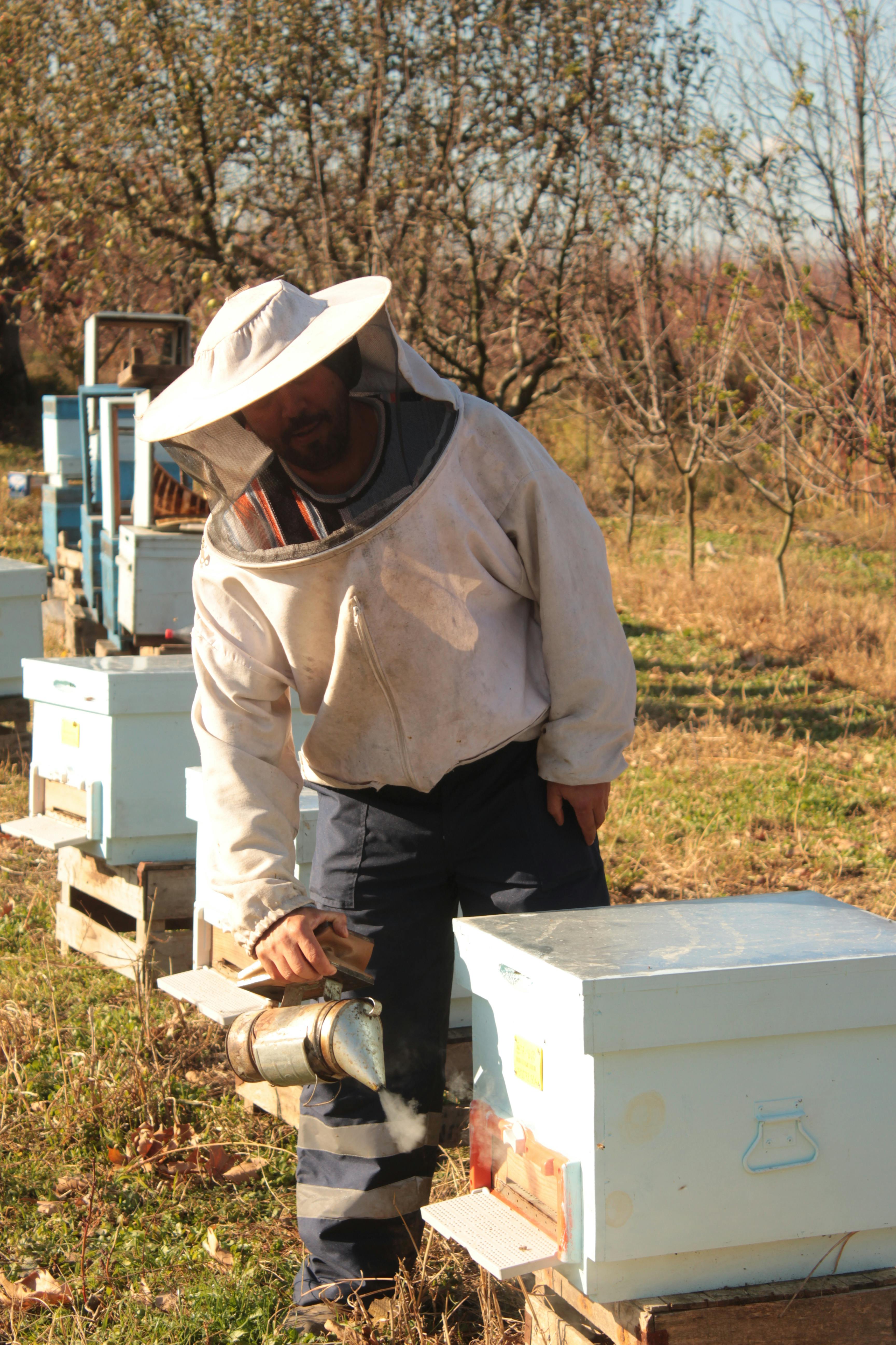 A Beekeeper Standing by a Bee Hive · Free Stock Photo