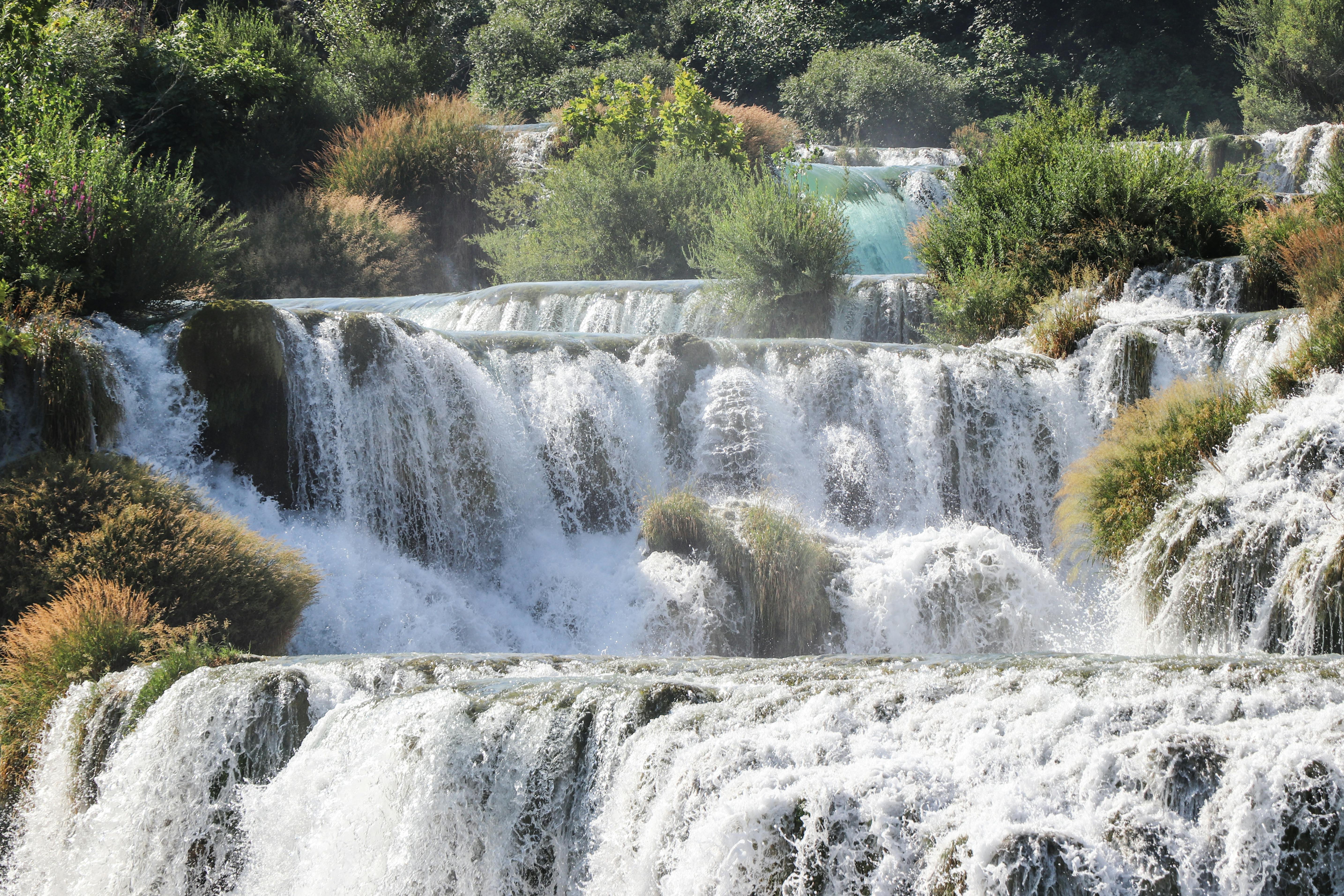Water Falls in the Middle of Green Trees · Free Stock Photo