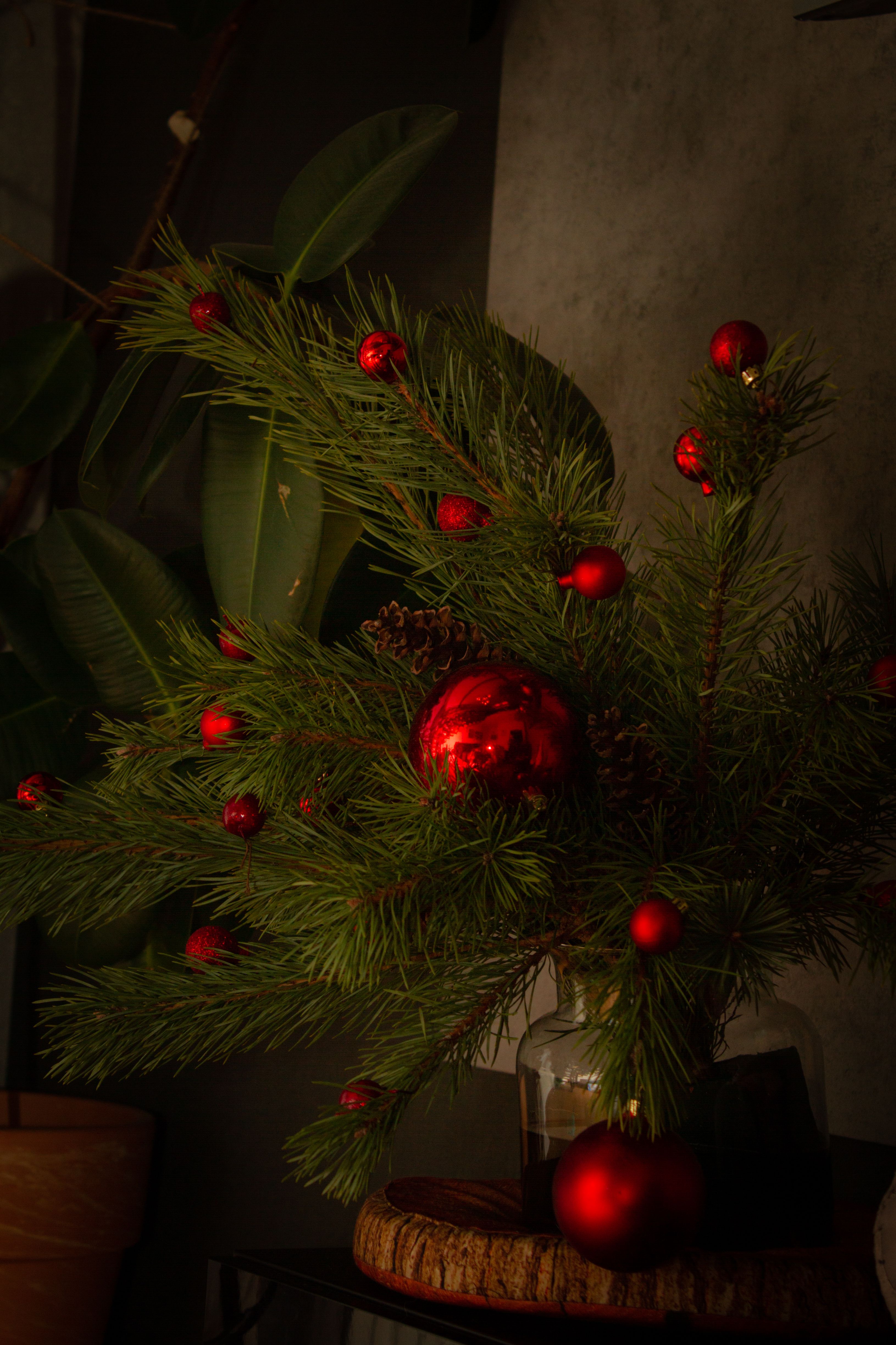 Lighted Christmas Tree · Free Stock Photo