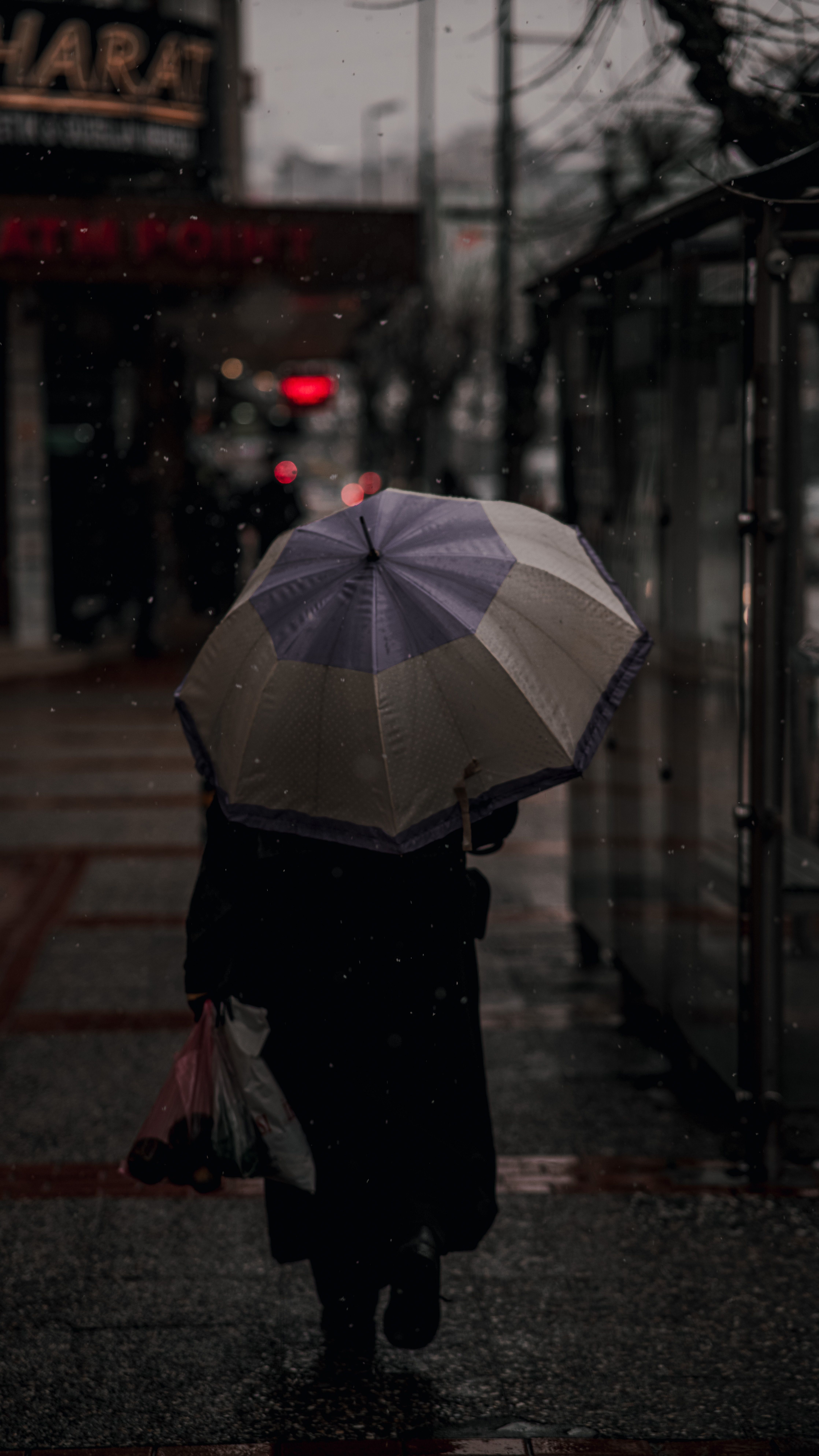 Person Carrying Transparent Umbrella · Free Stock Photo