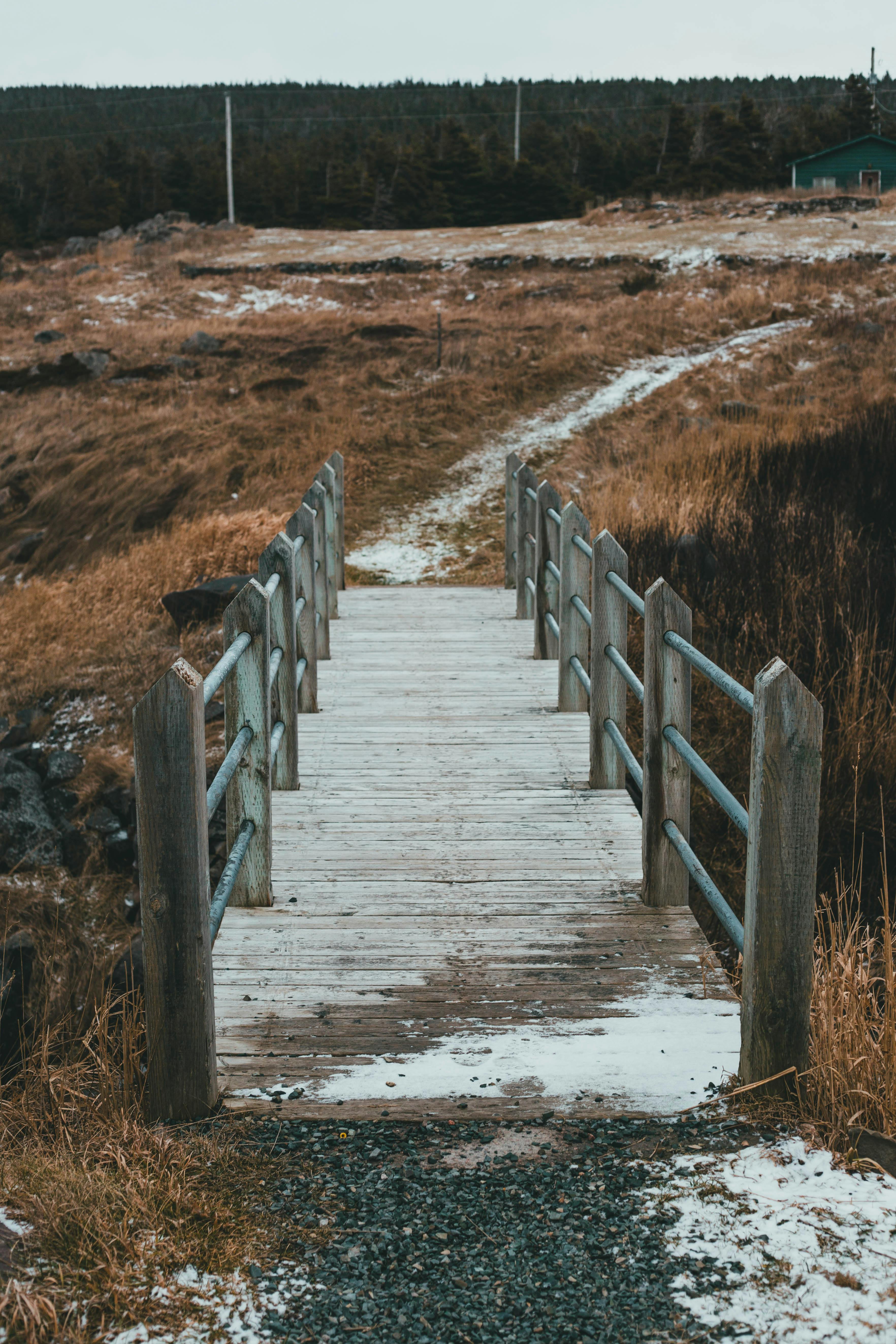 Wooden Bridge over Creek · Free Stock Photo