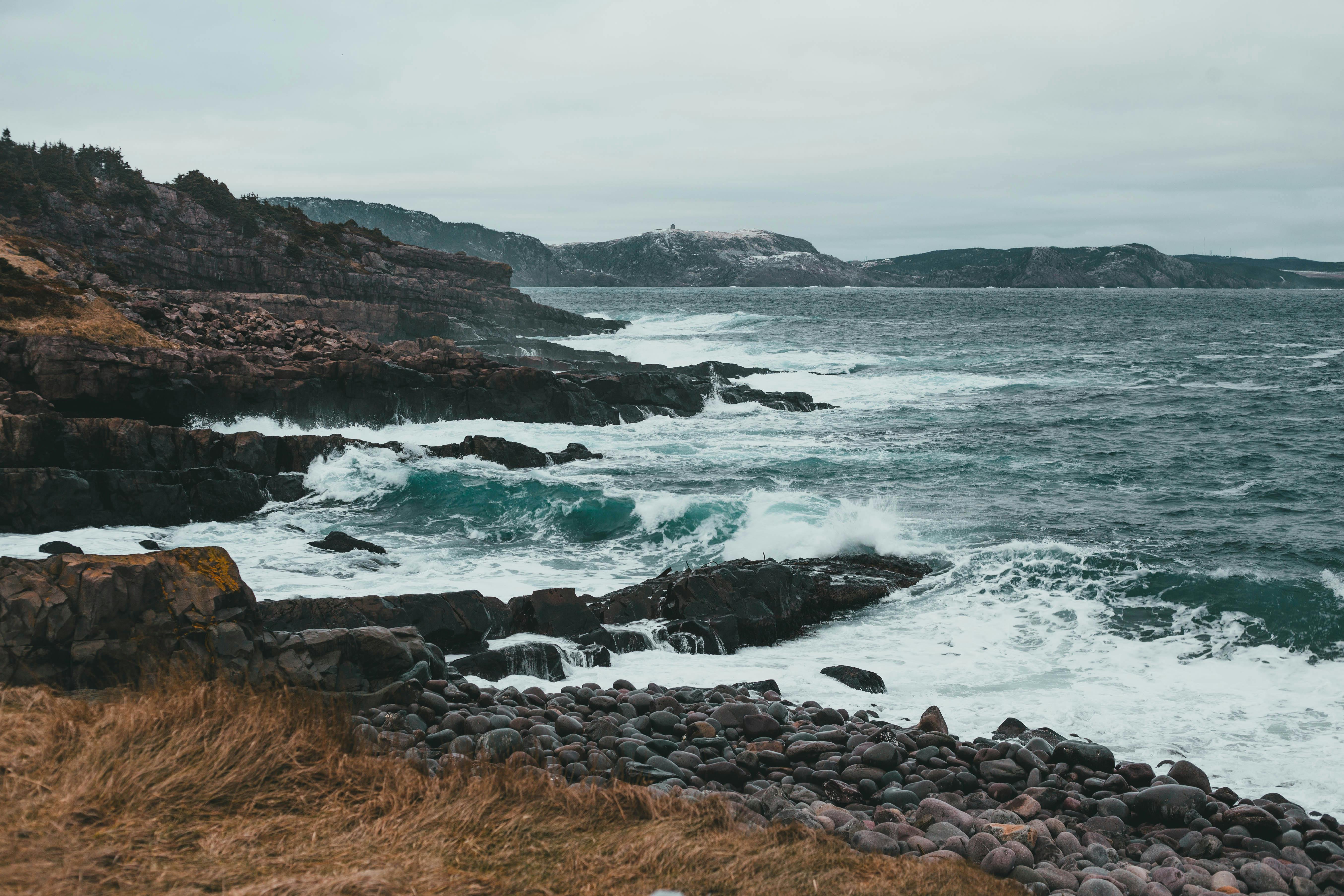 Landscape View of Seashore · Free Stock Photo