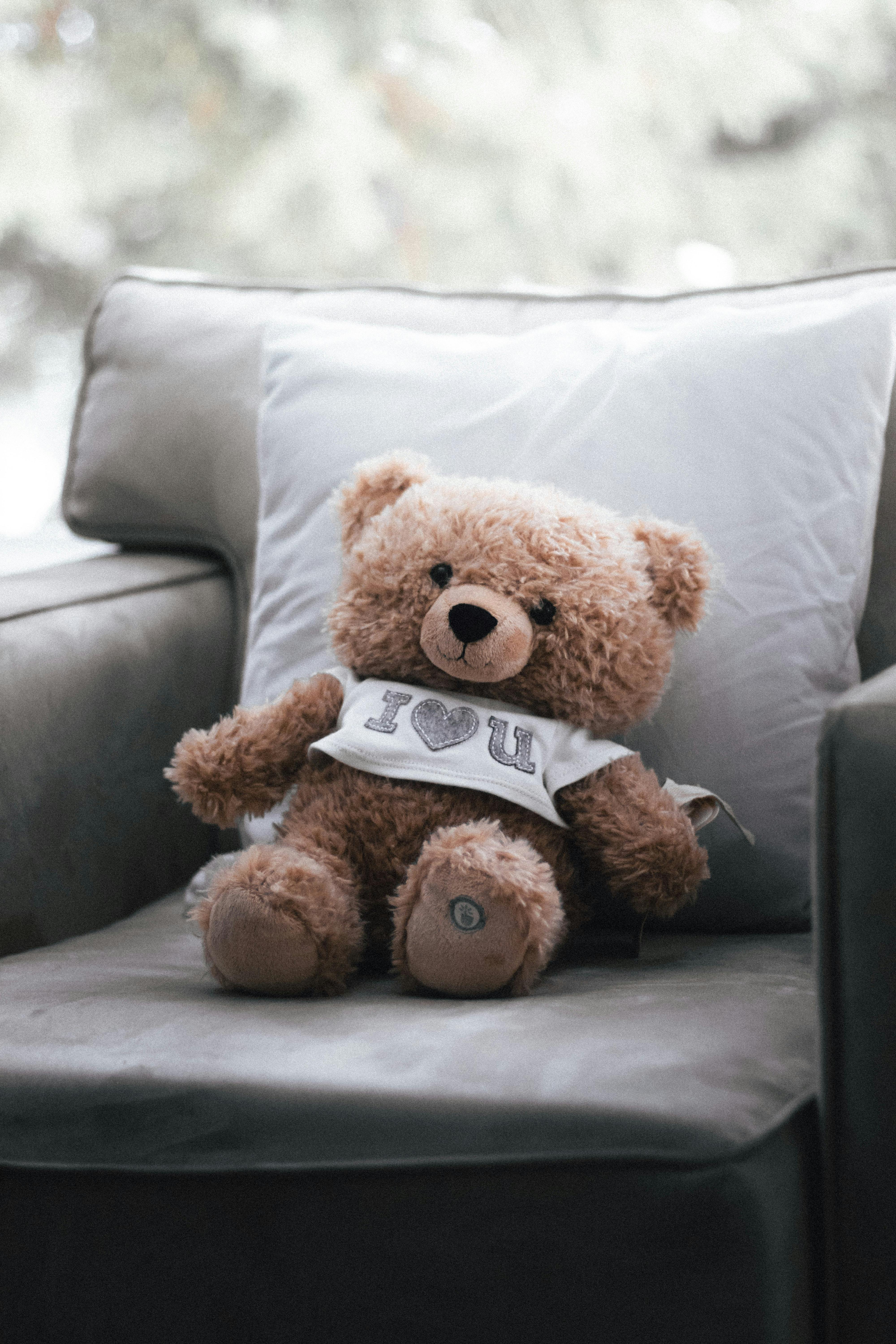 A Teddy Bear on a Chair · Free Stock Photo