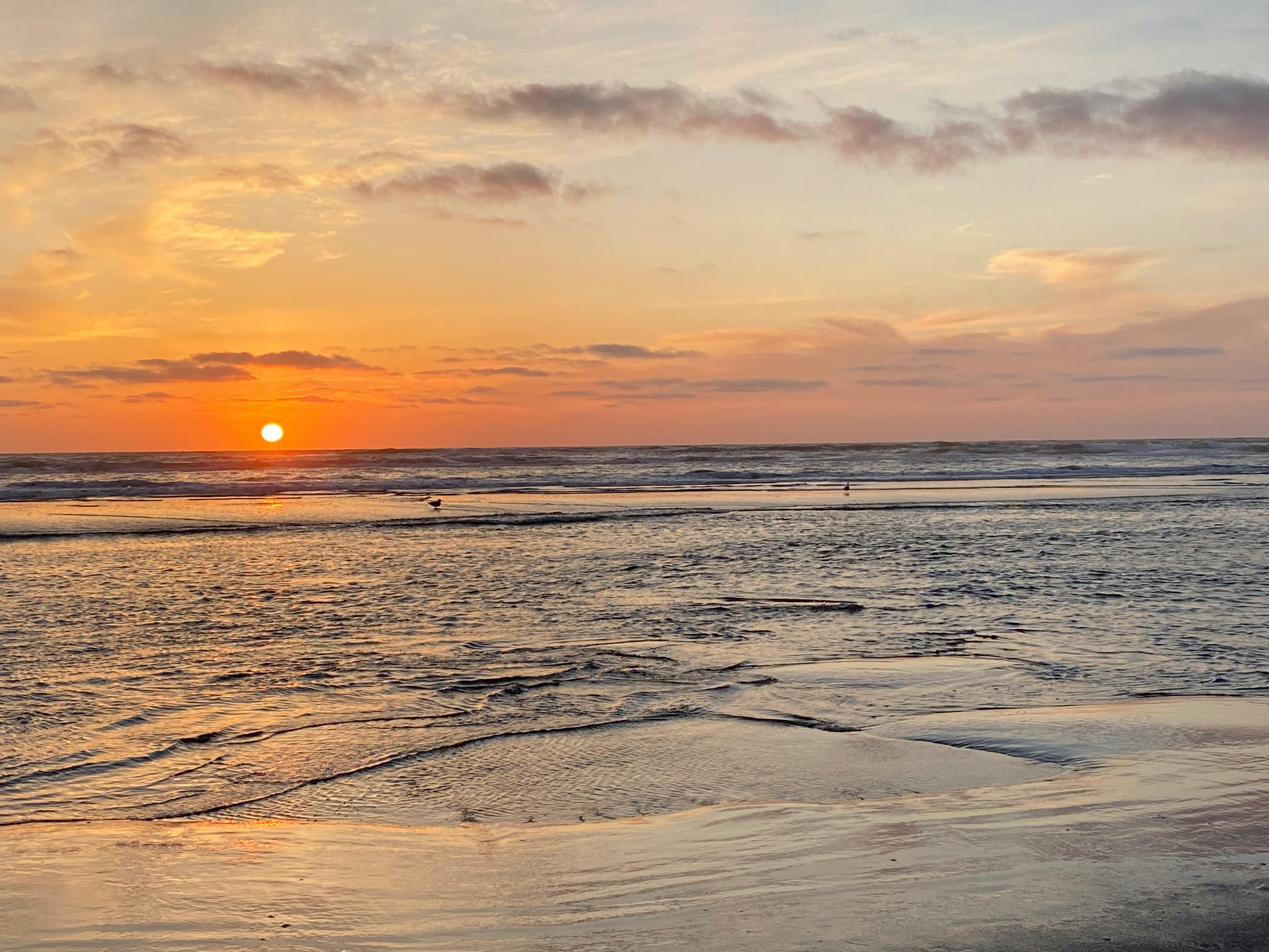 Beautiful Body of Water During Sunset · Free Stock Photo
