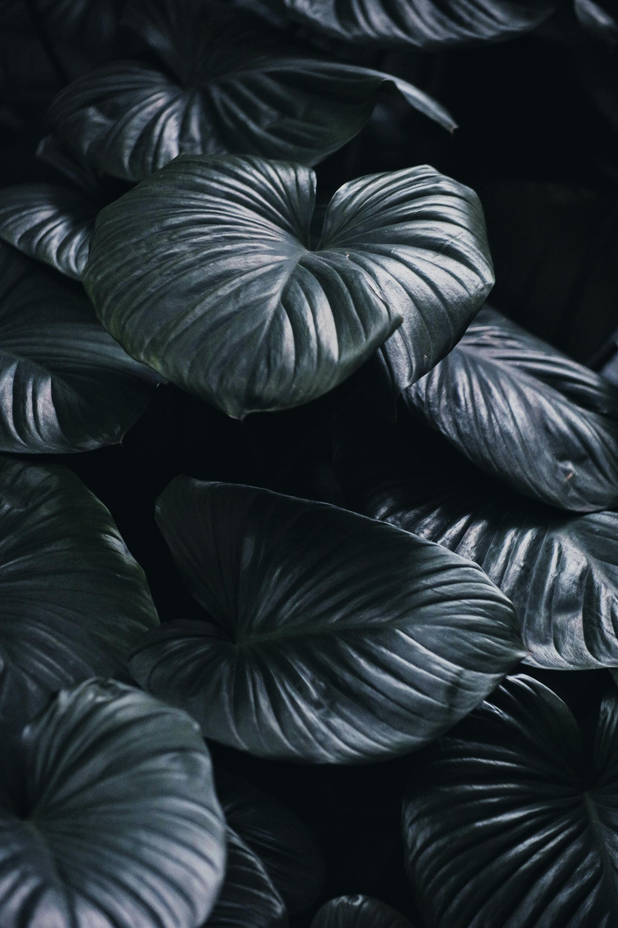 Illuminated blooming tree like construction against evening sky · Free ...