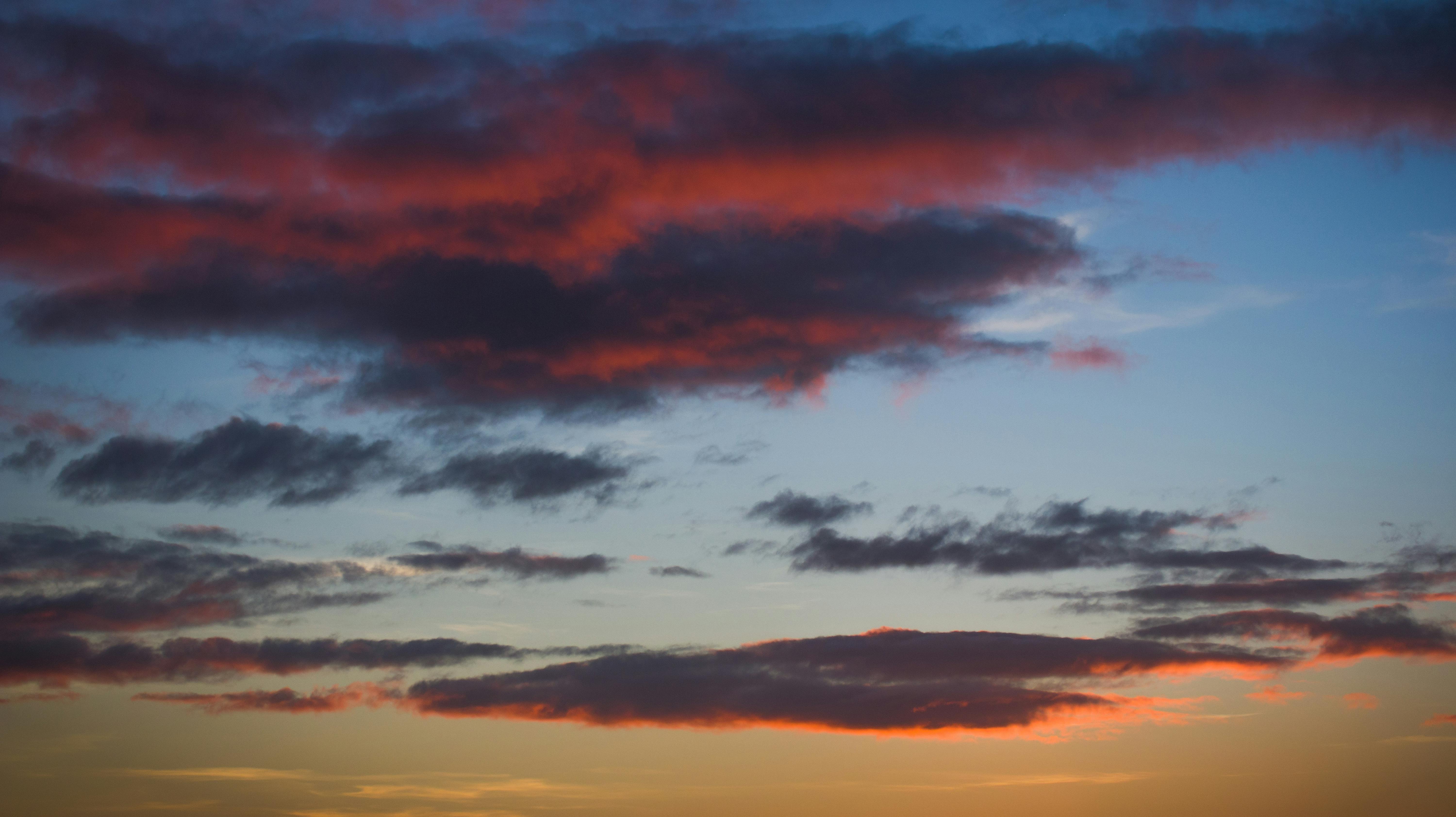 Summer sunset · Free Stock Photo