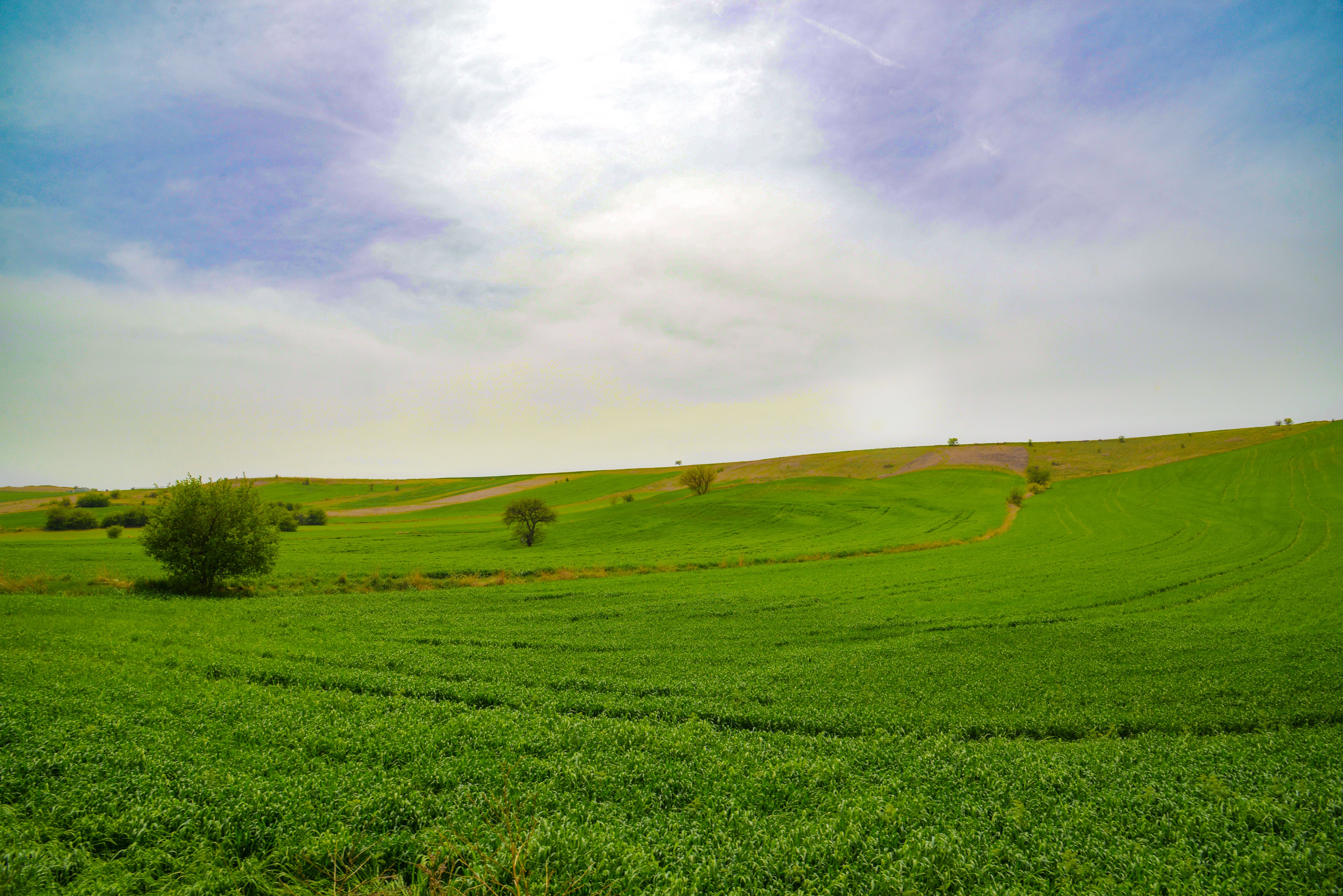 Green Field Scenery Photos, Download Free Green Field Scenery Stock ...