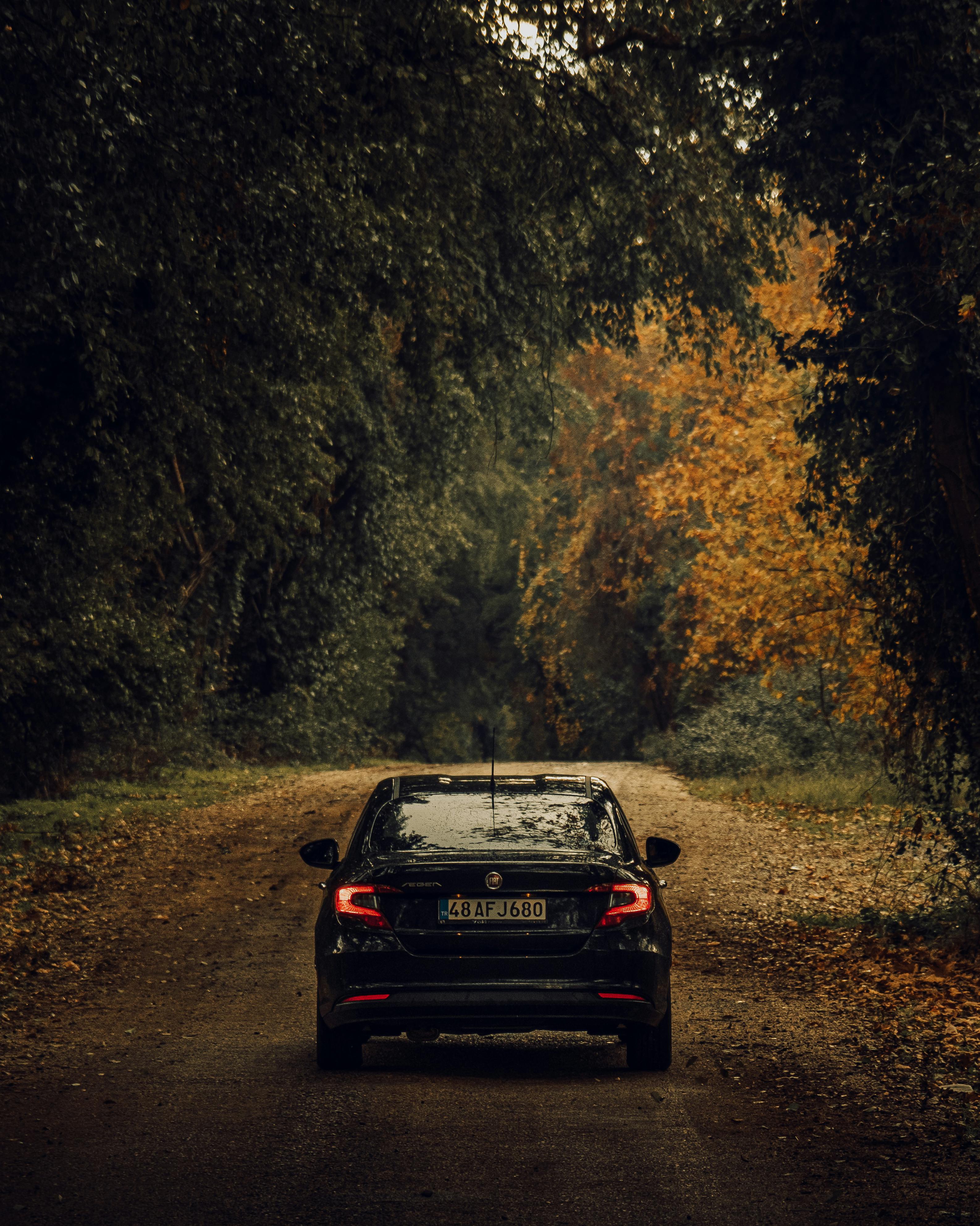 Car Driving Down a Road Surrounded by Trees · Free Stock Photo