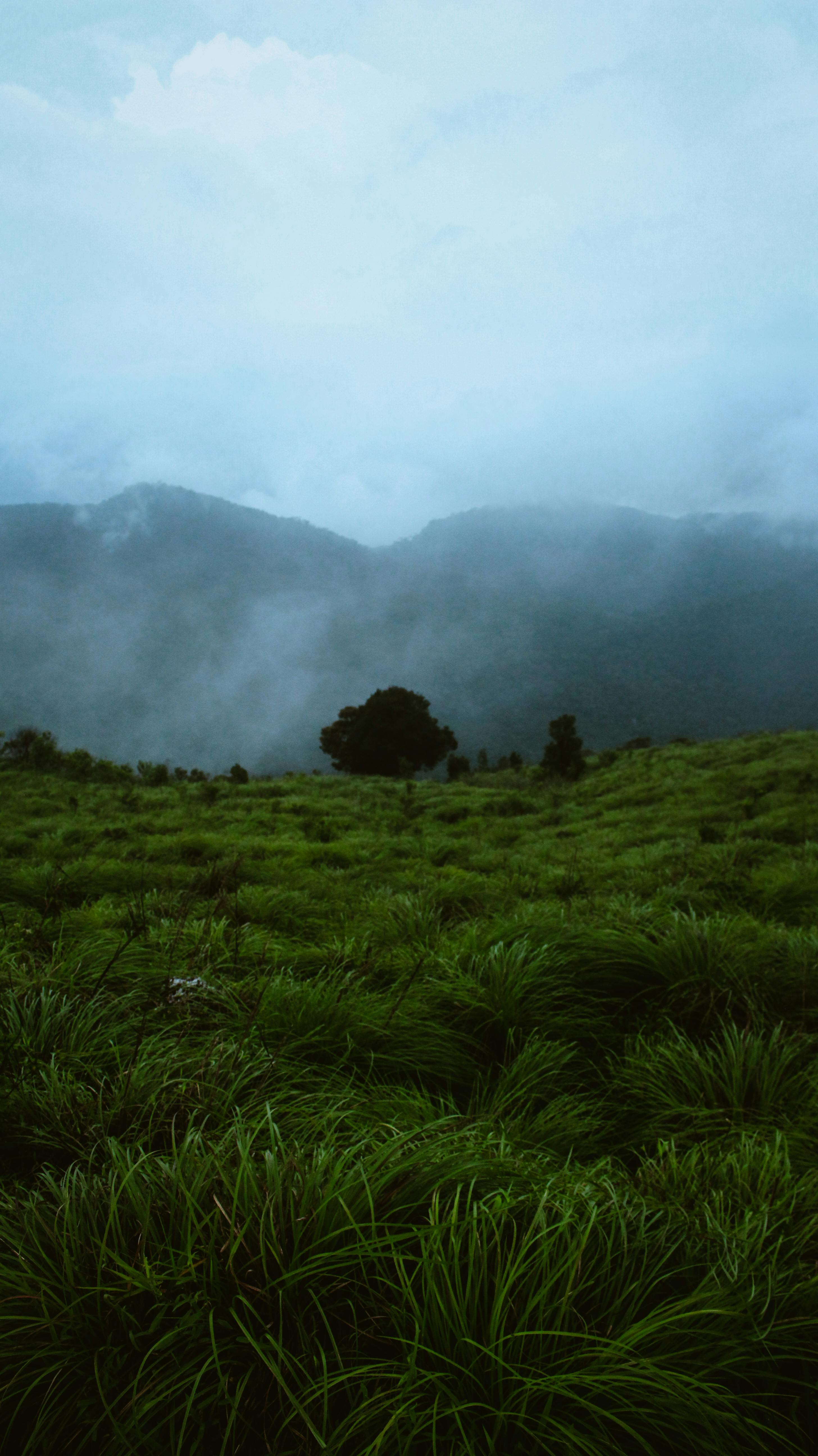 jerin mathew - 摄影