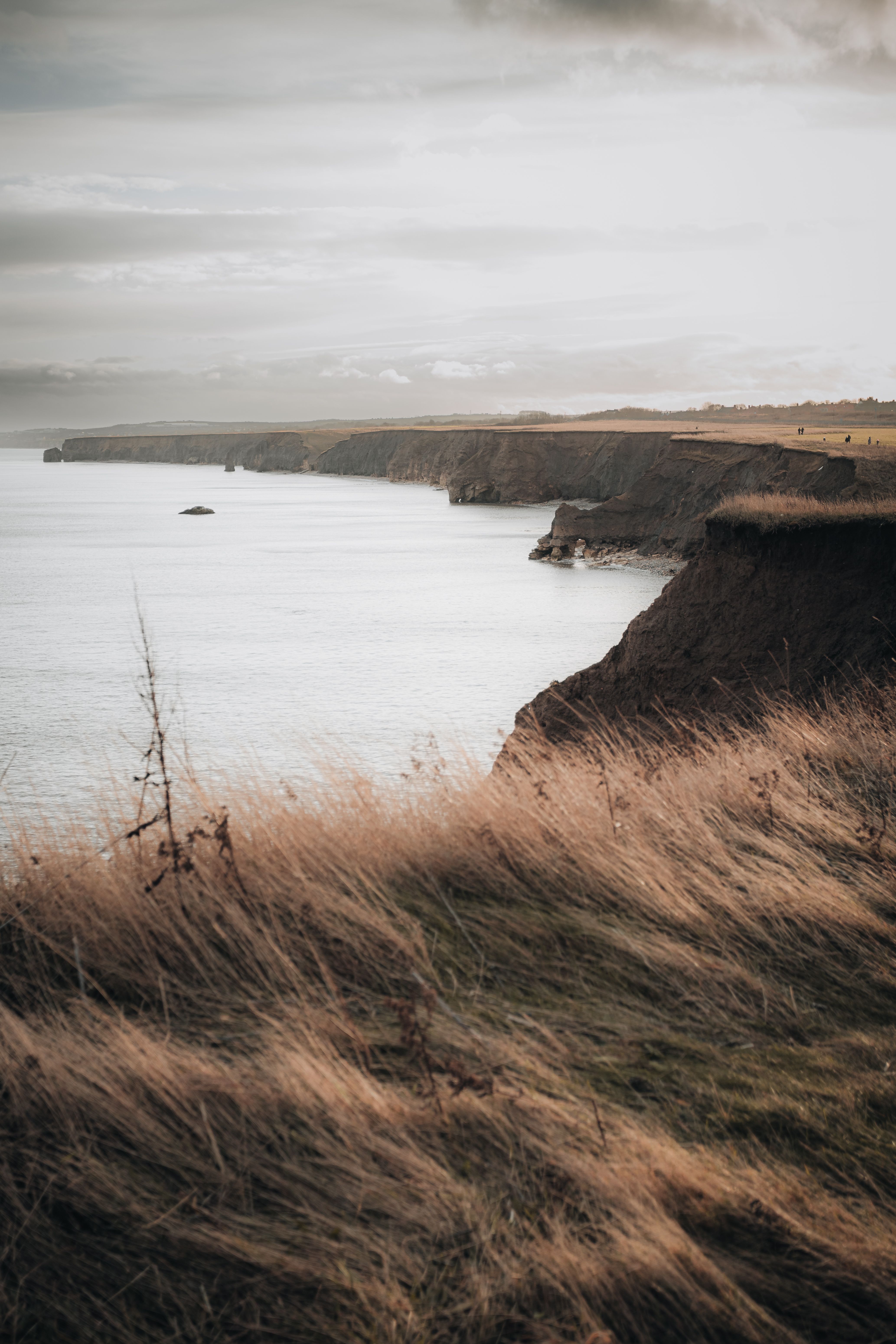 Grasses Landscape Photos, Download The BEST Free Grasses Landscape ...