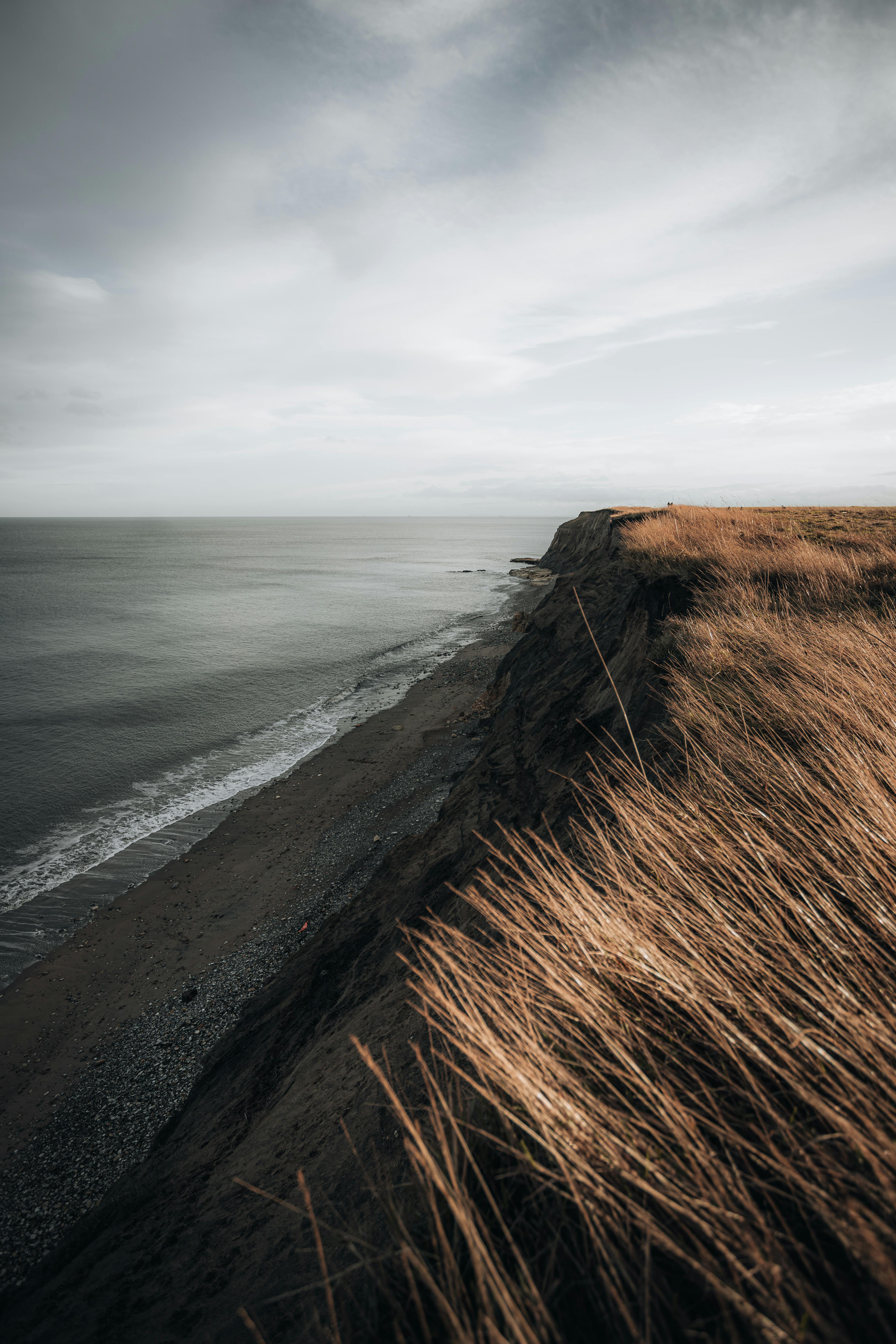 Grass on Cliff on Sea Shore · Free Stock Photo
