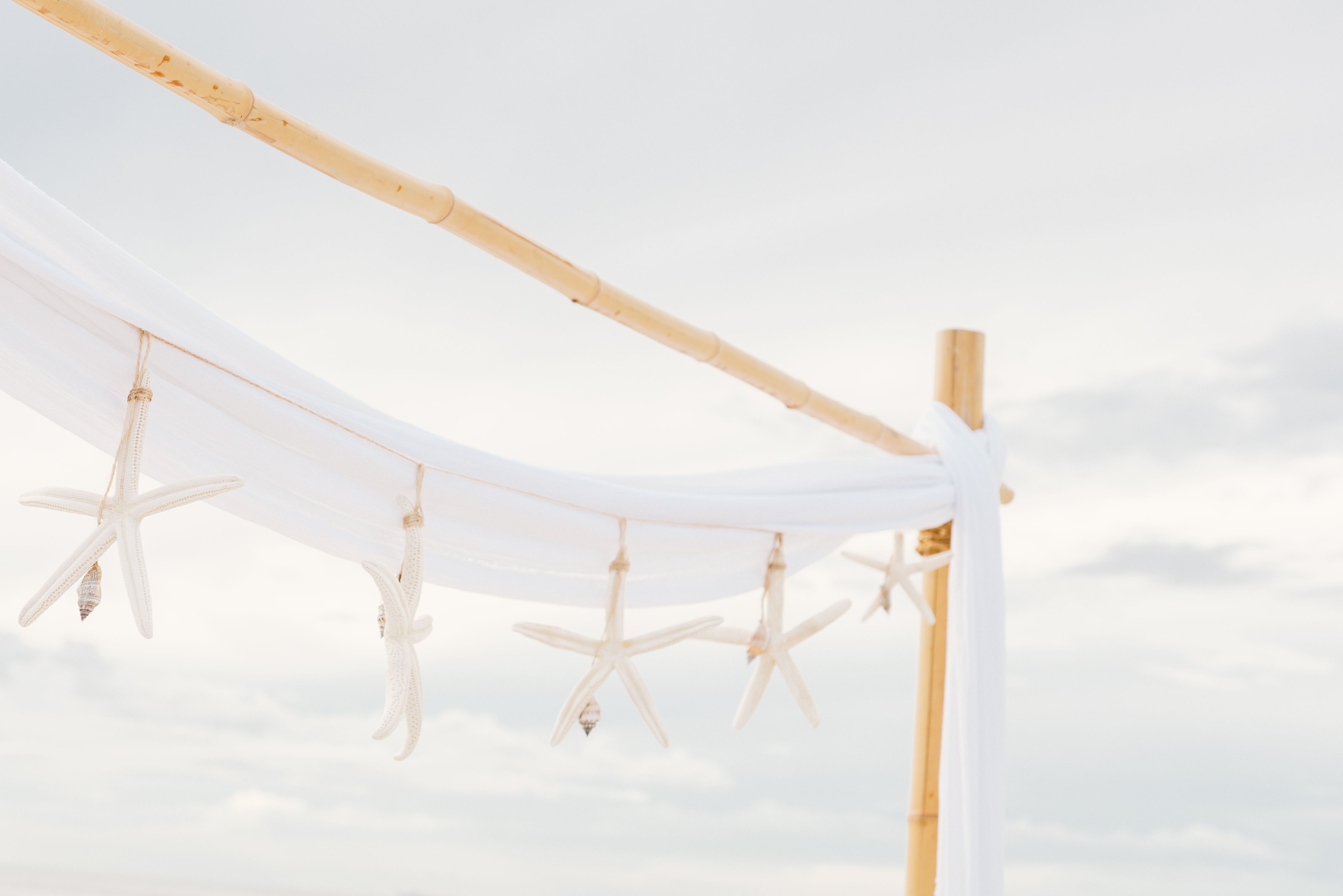 Dyed fabric hanging on rope · Free Stock Photo