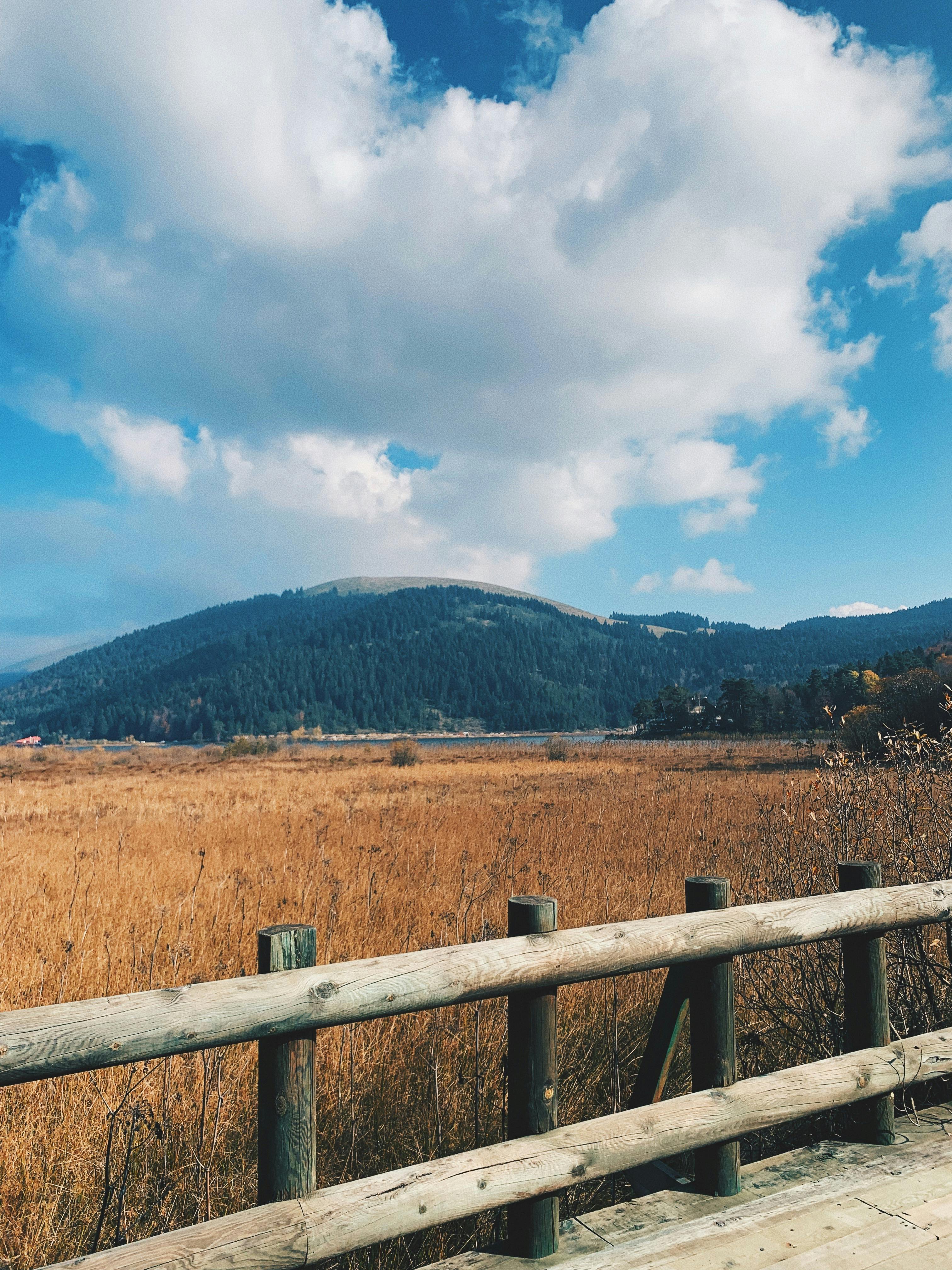 Mavera - Photography