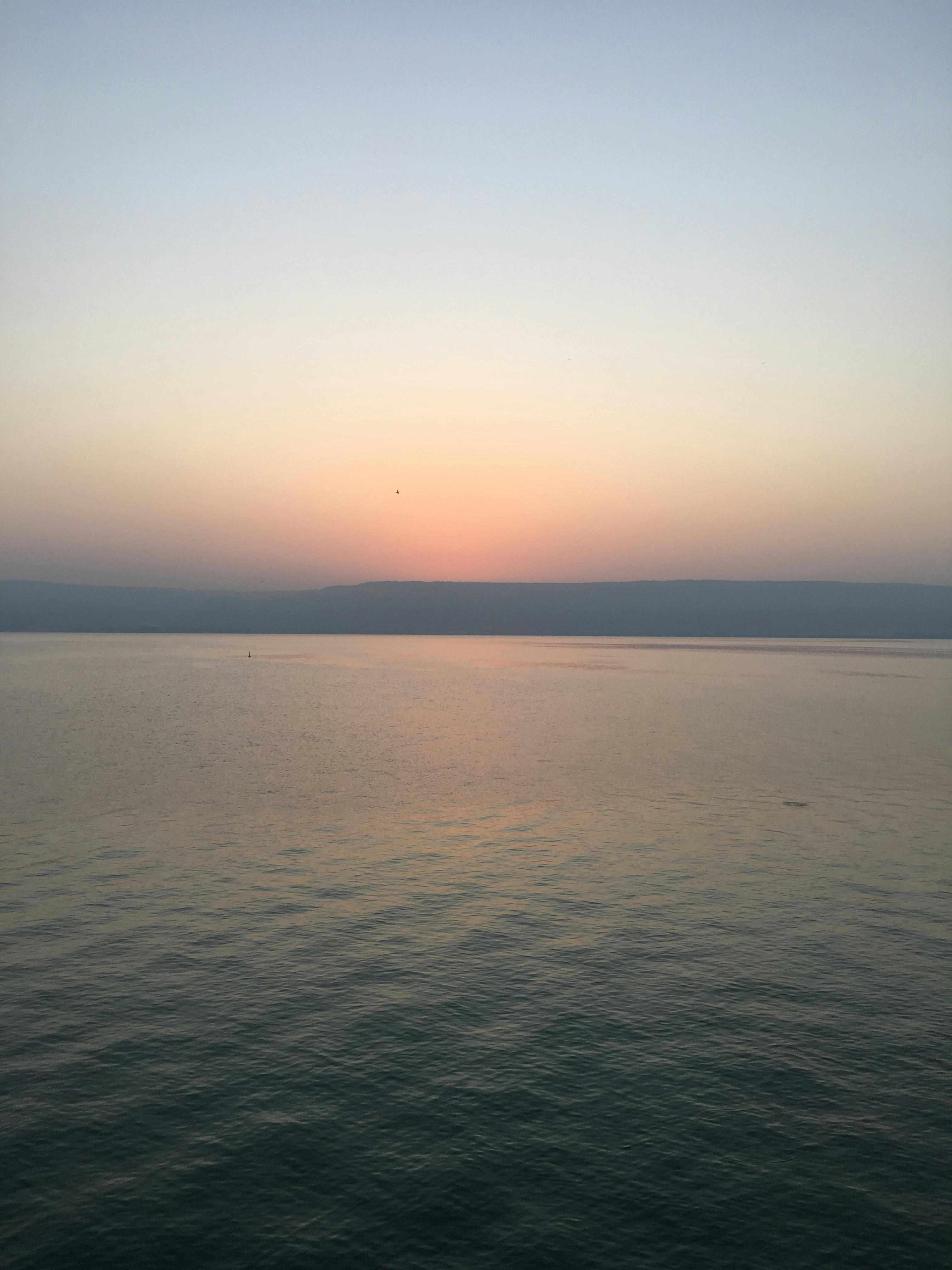 A Shore with a View of a Horizon · Free Stock Photo