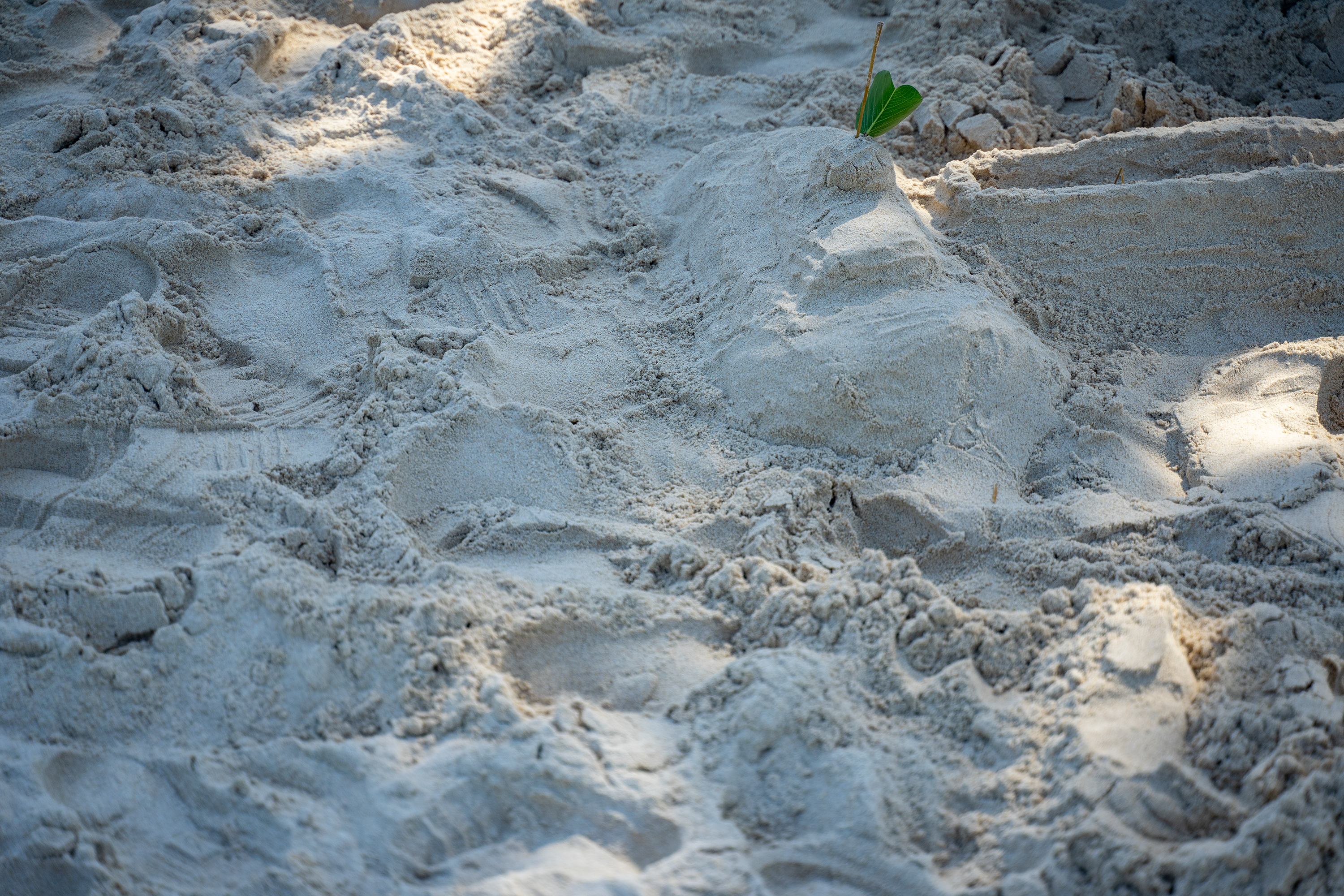 Close-Up Shot of Gray Sand · Free Stock Photo