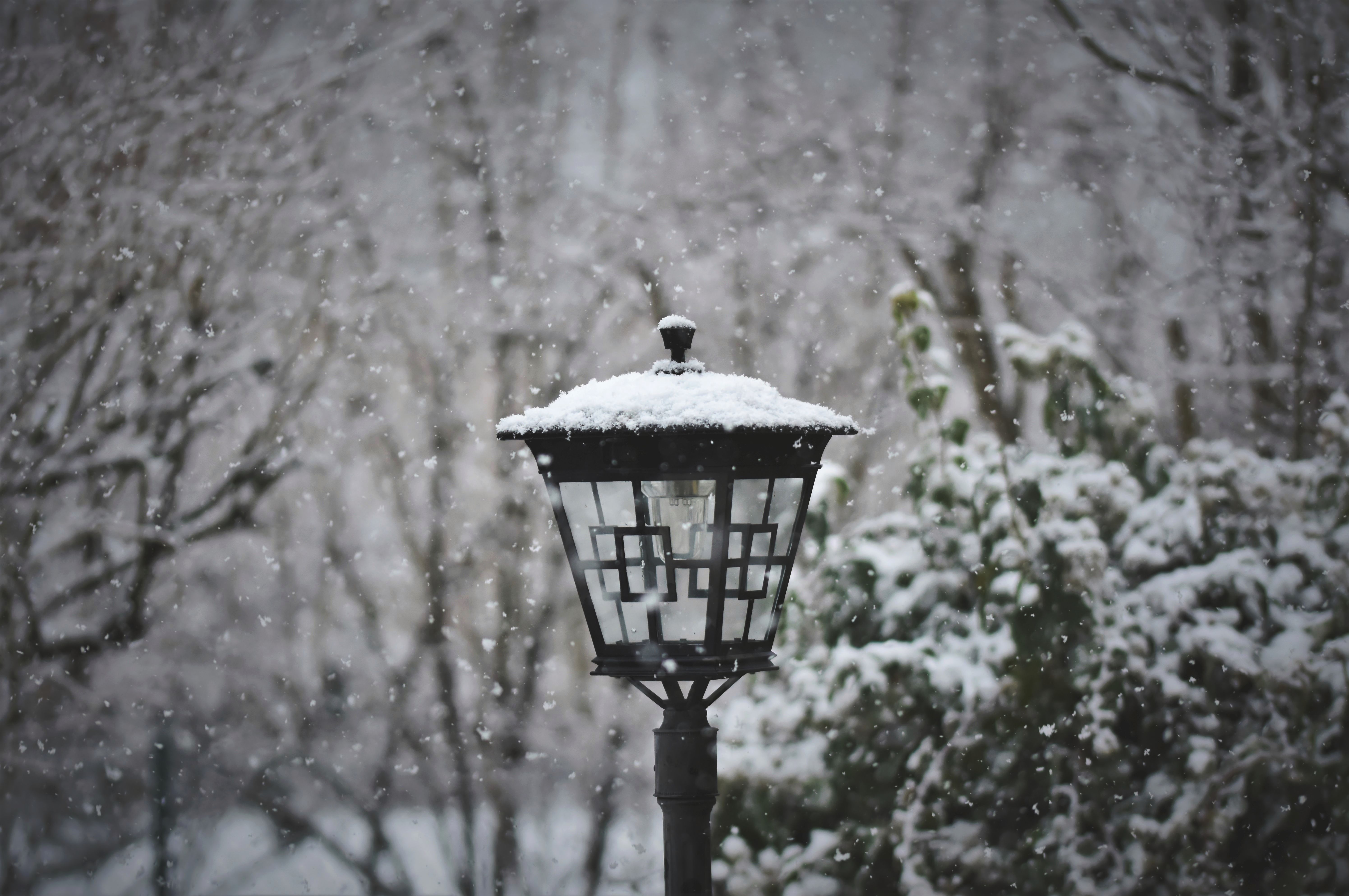 Lamp Post Near Body Of Water · Free Stock Photo