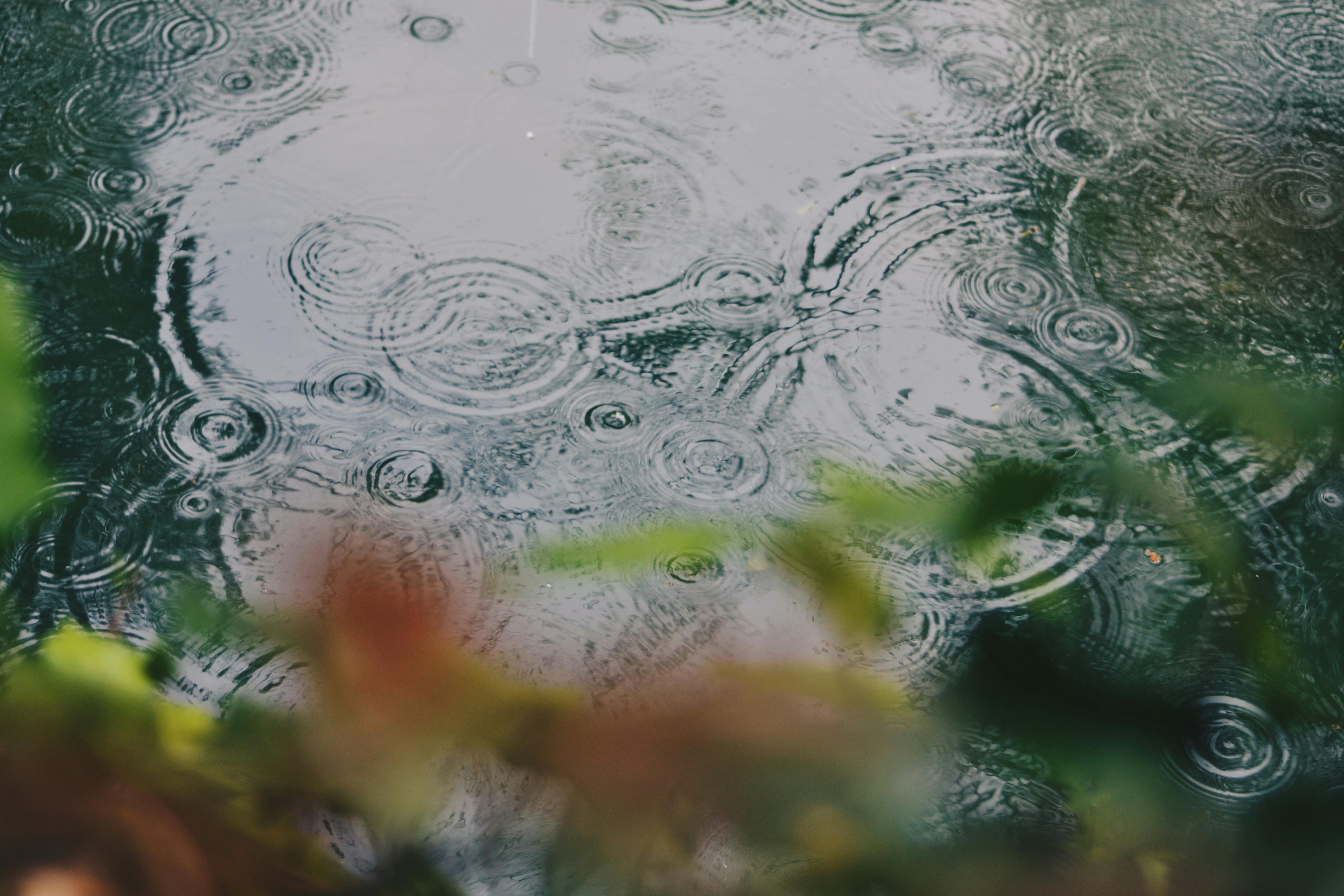 Rain Making Ripples on the Water · Free Stock Photo