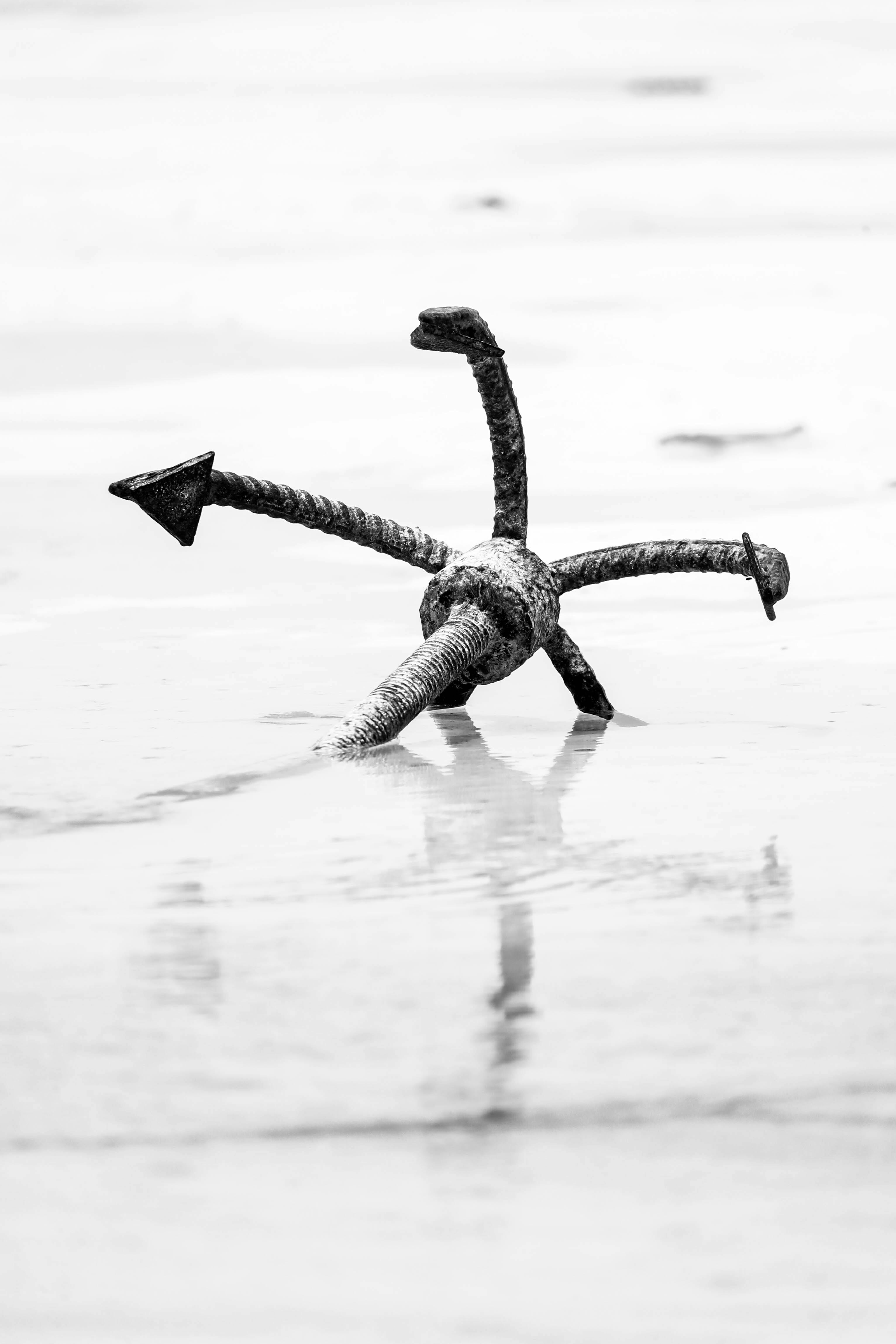 100+ Best Anchor Photos · 100% Free Download · Pexels Stock Photos