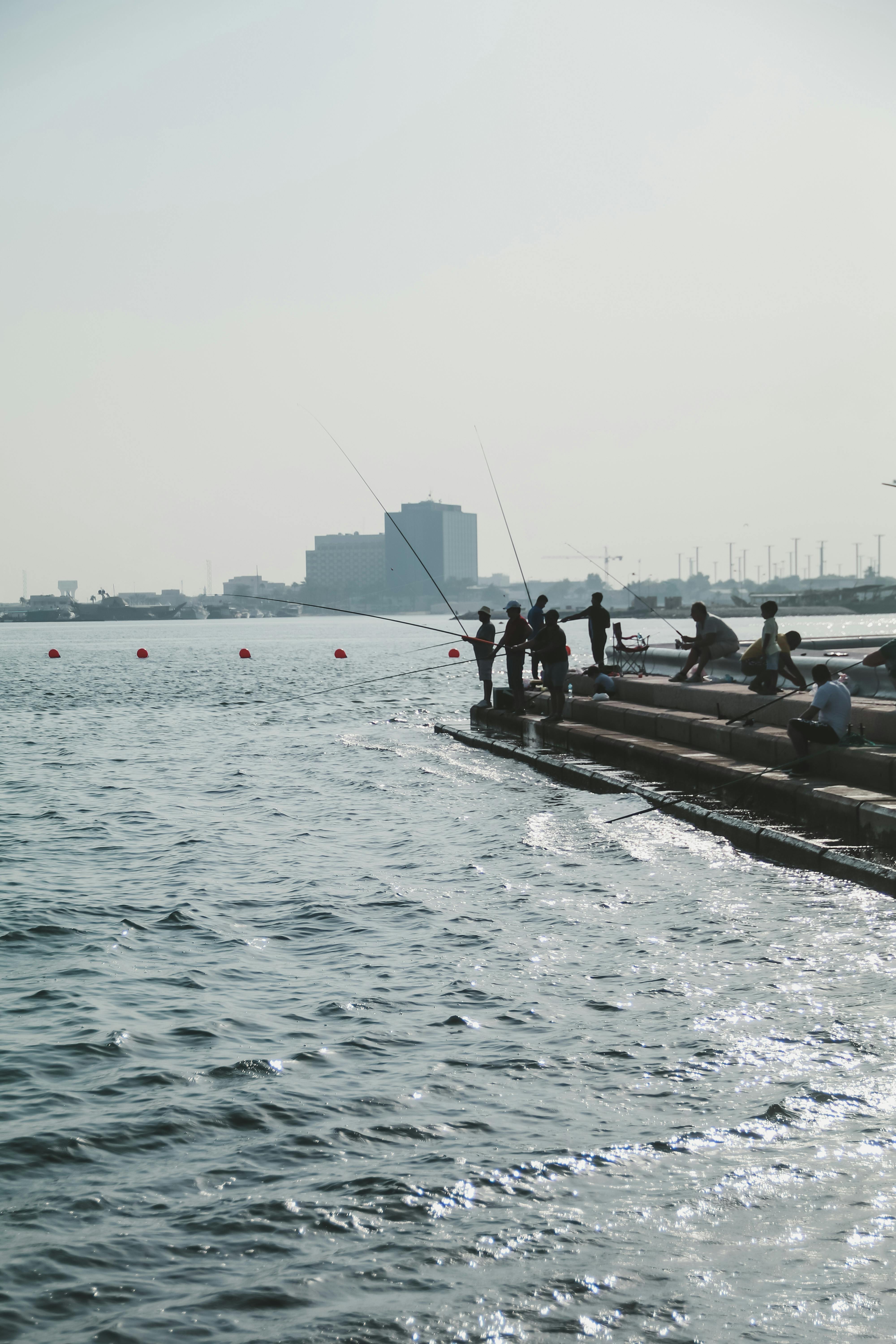 People Catching Fish by the Sea · Free Stock Photo