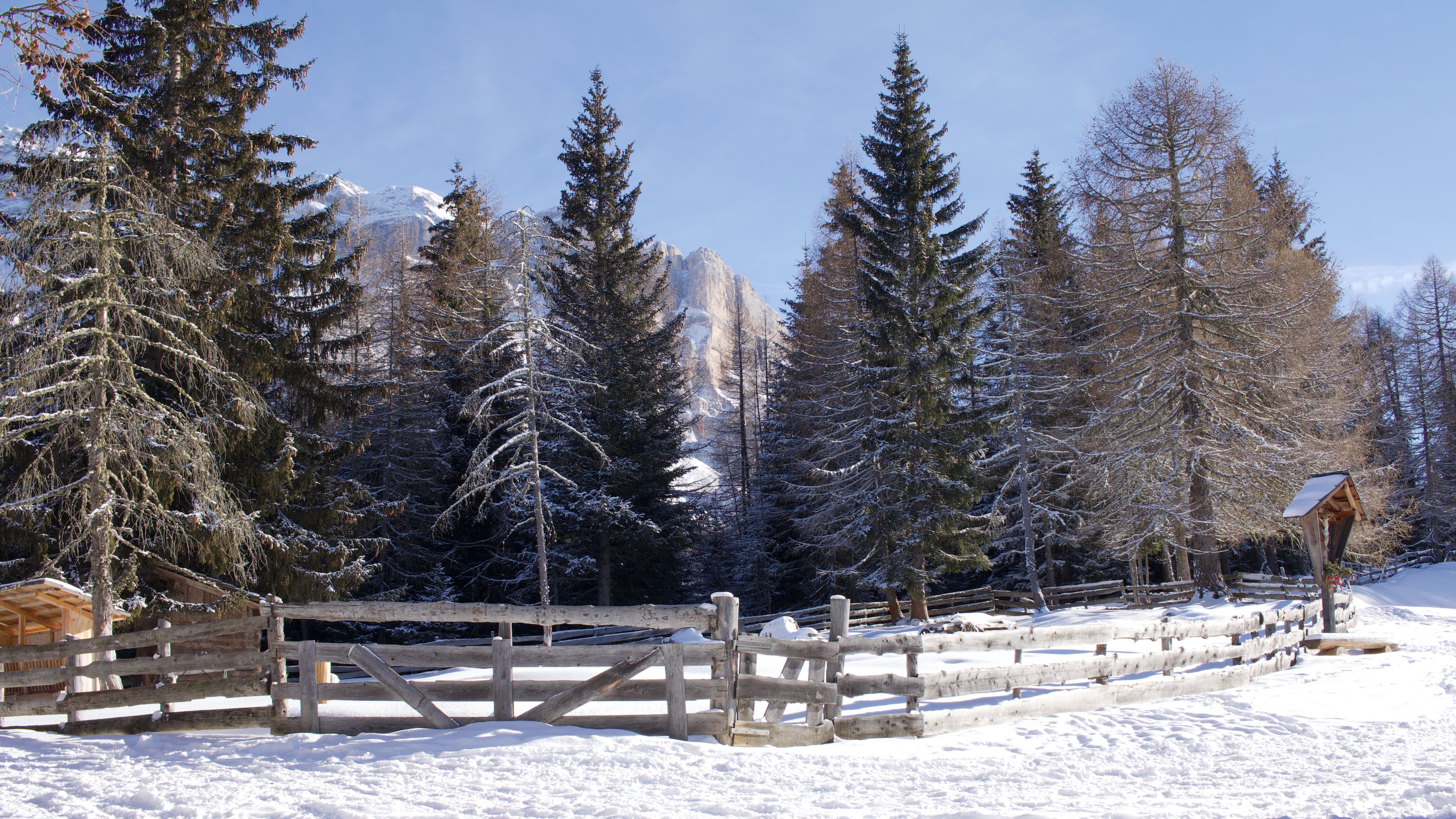 Snow Covered Ground · Free Stock Photo
