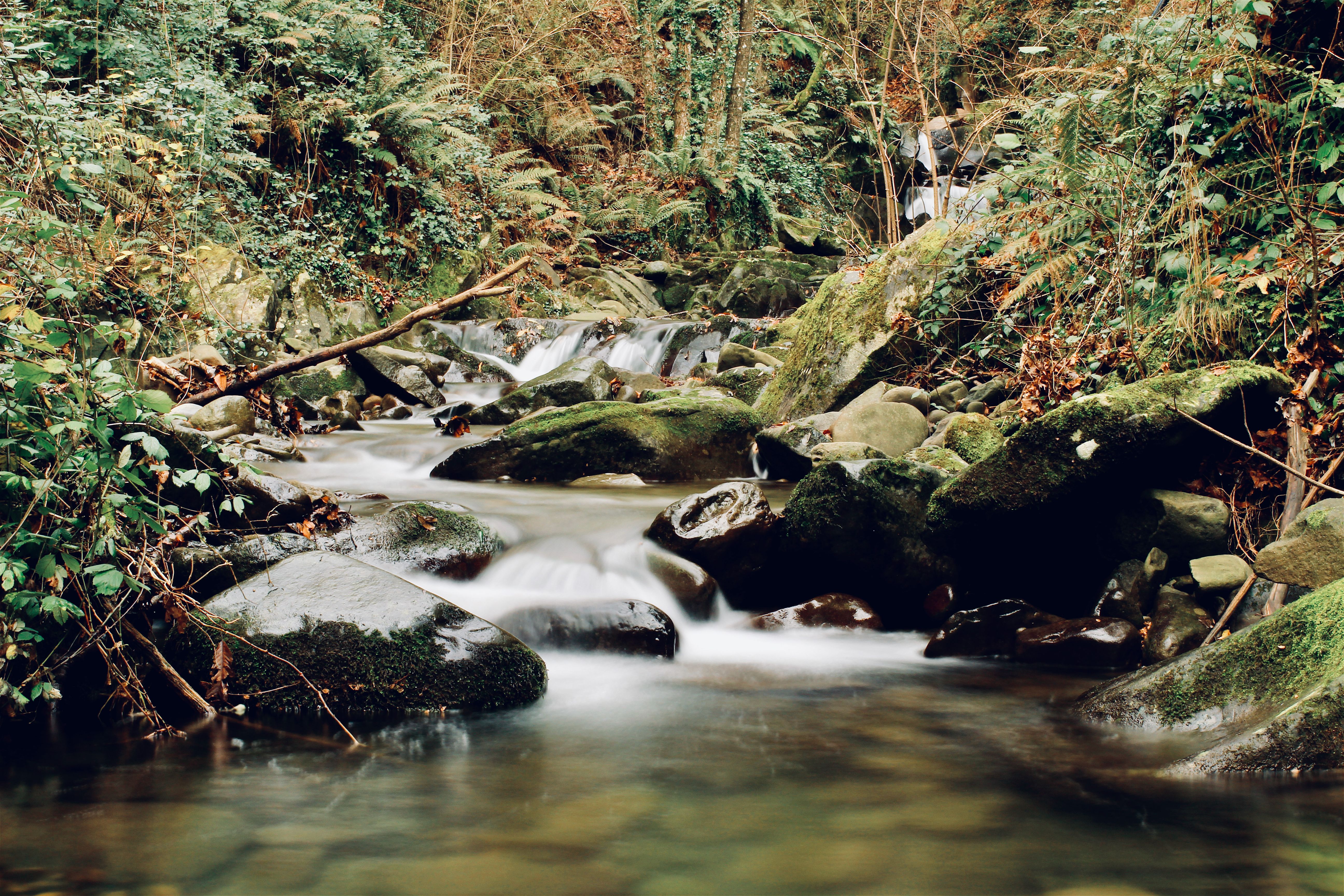 Rocky River · Free Stock Photo