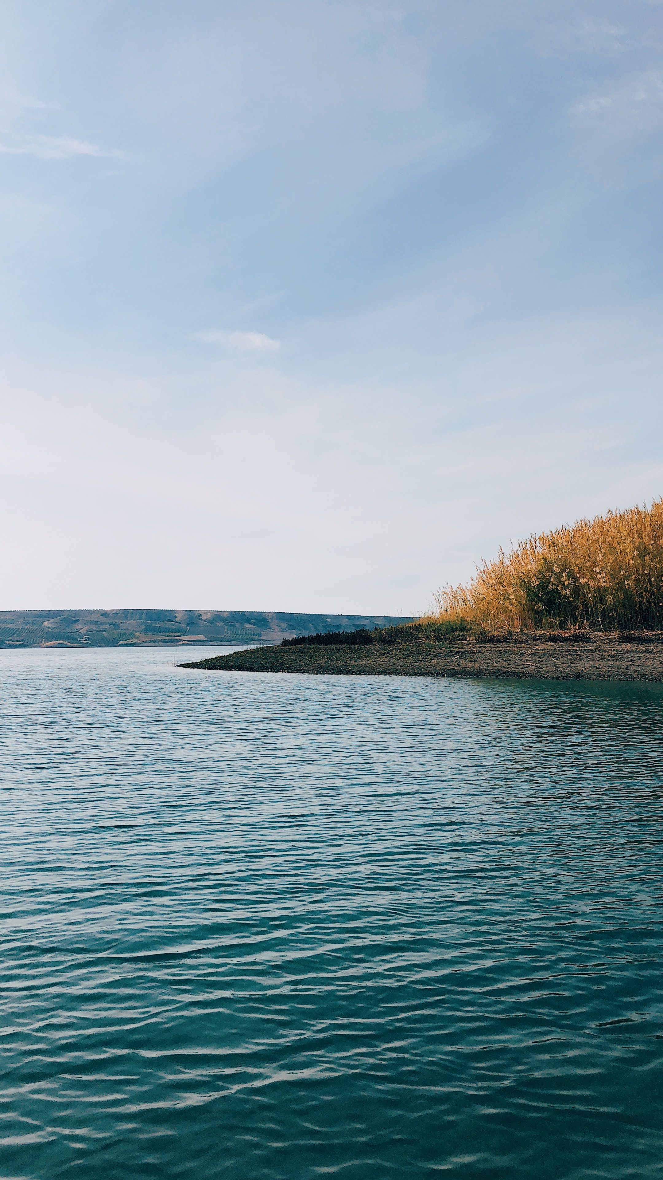 Photo of a Calm Body of Water · Free Stock Photo