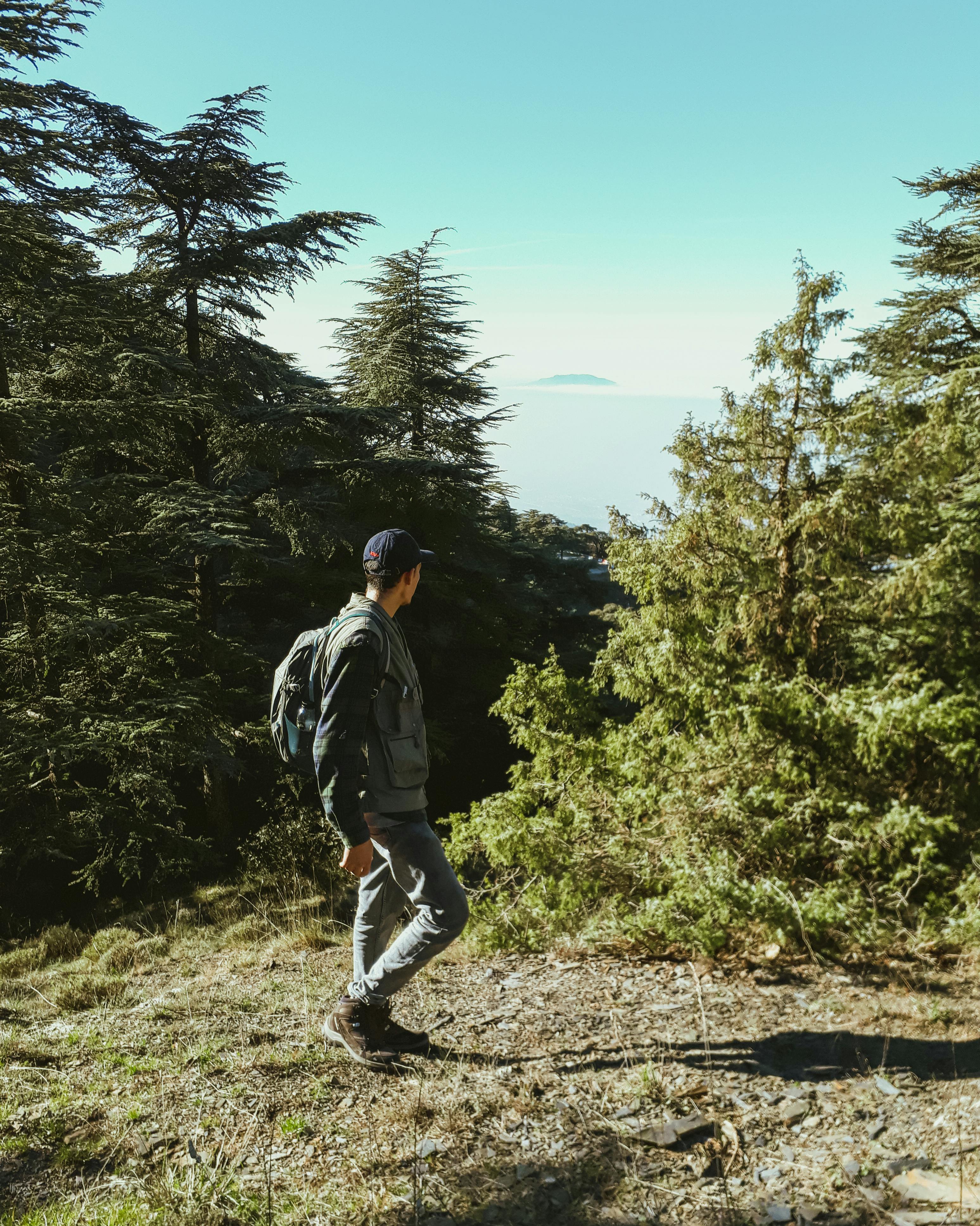 A Man Standing in the Middle of the Forest · Free Stock Photo