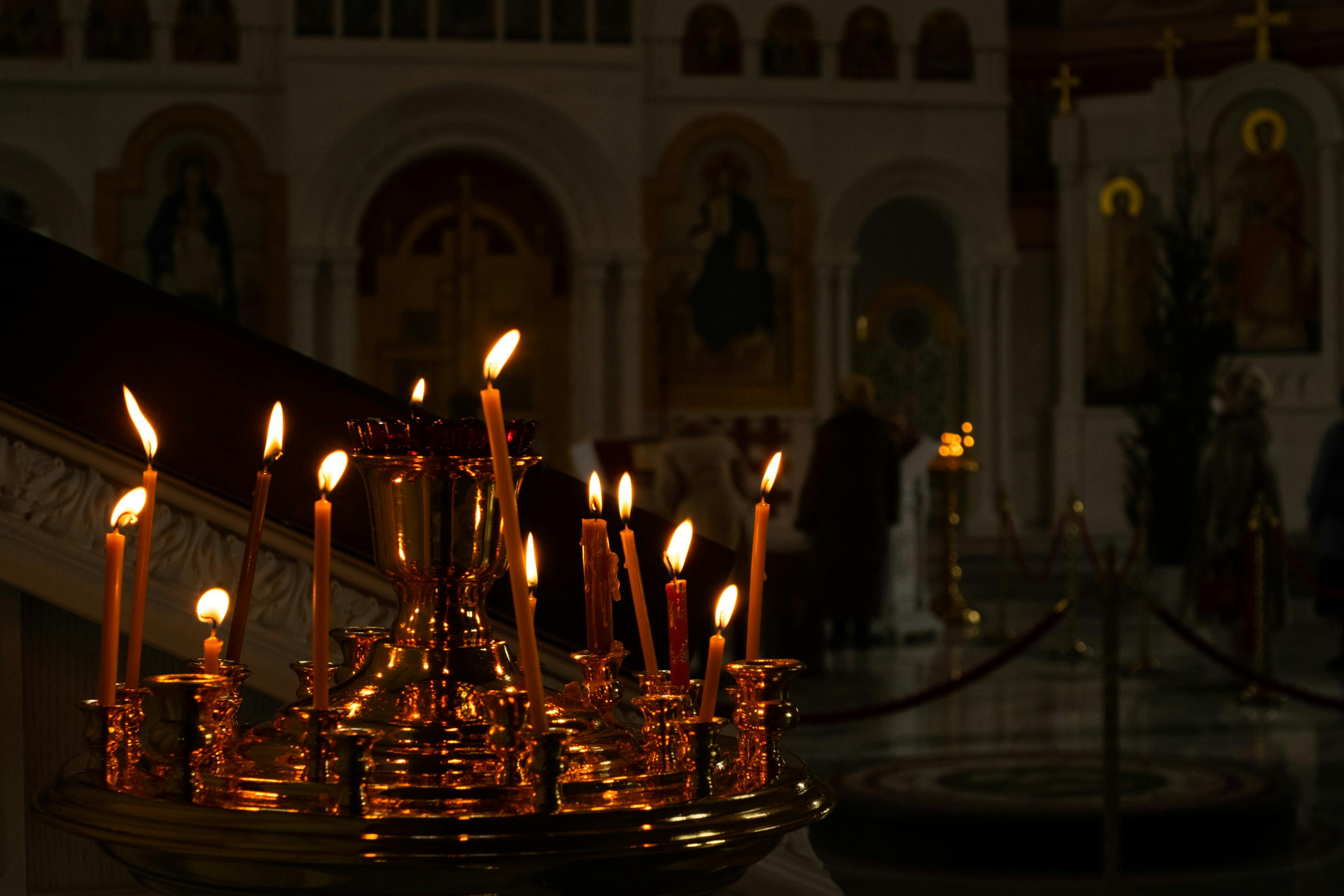 Close-Up Shot of a Green and Blue Fiber Optic · Free Stock Photo