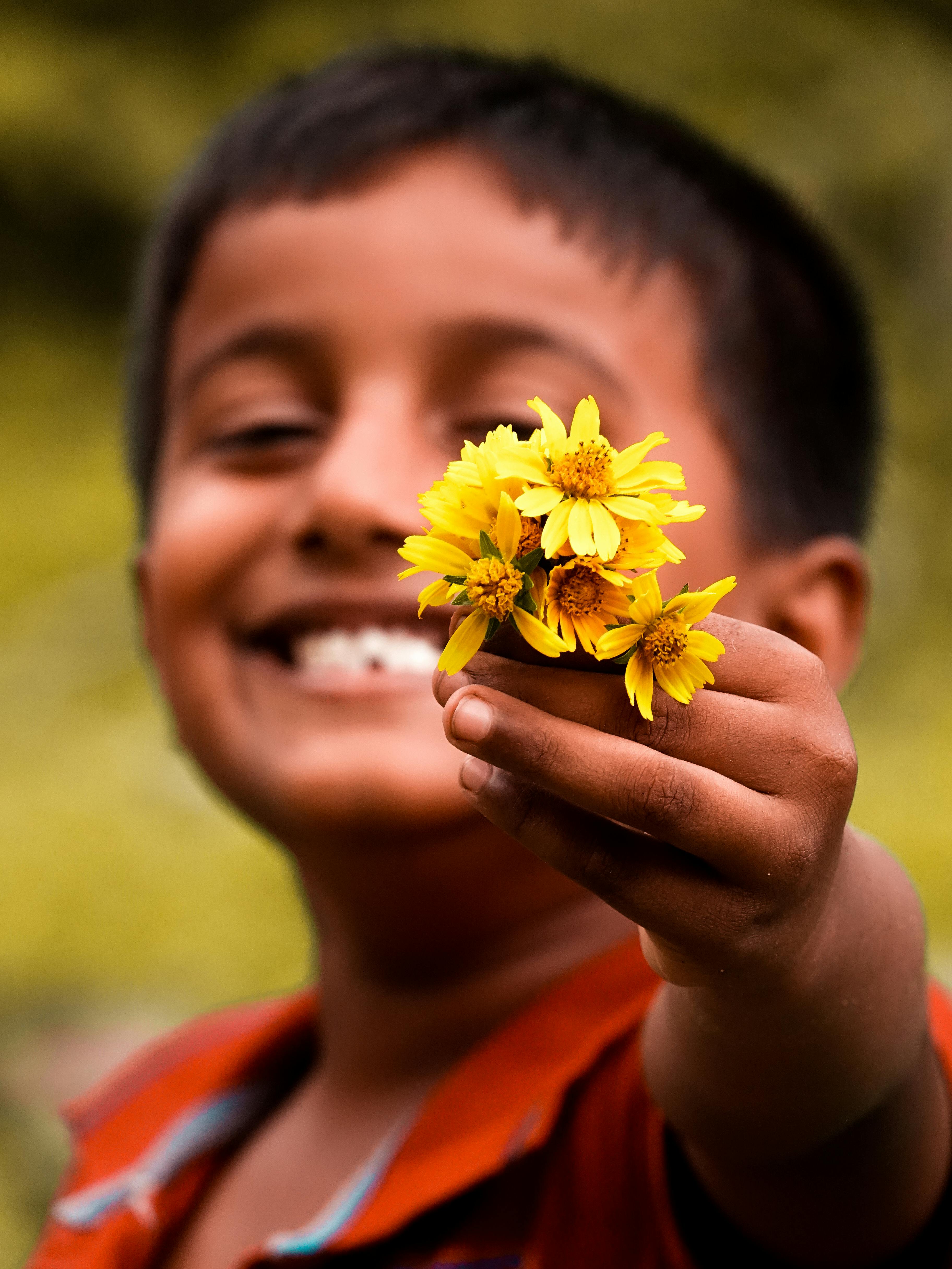 Free stock photo of alpha, beautiful flowers, happiness