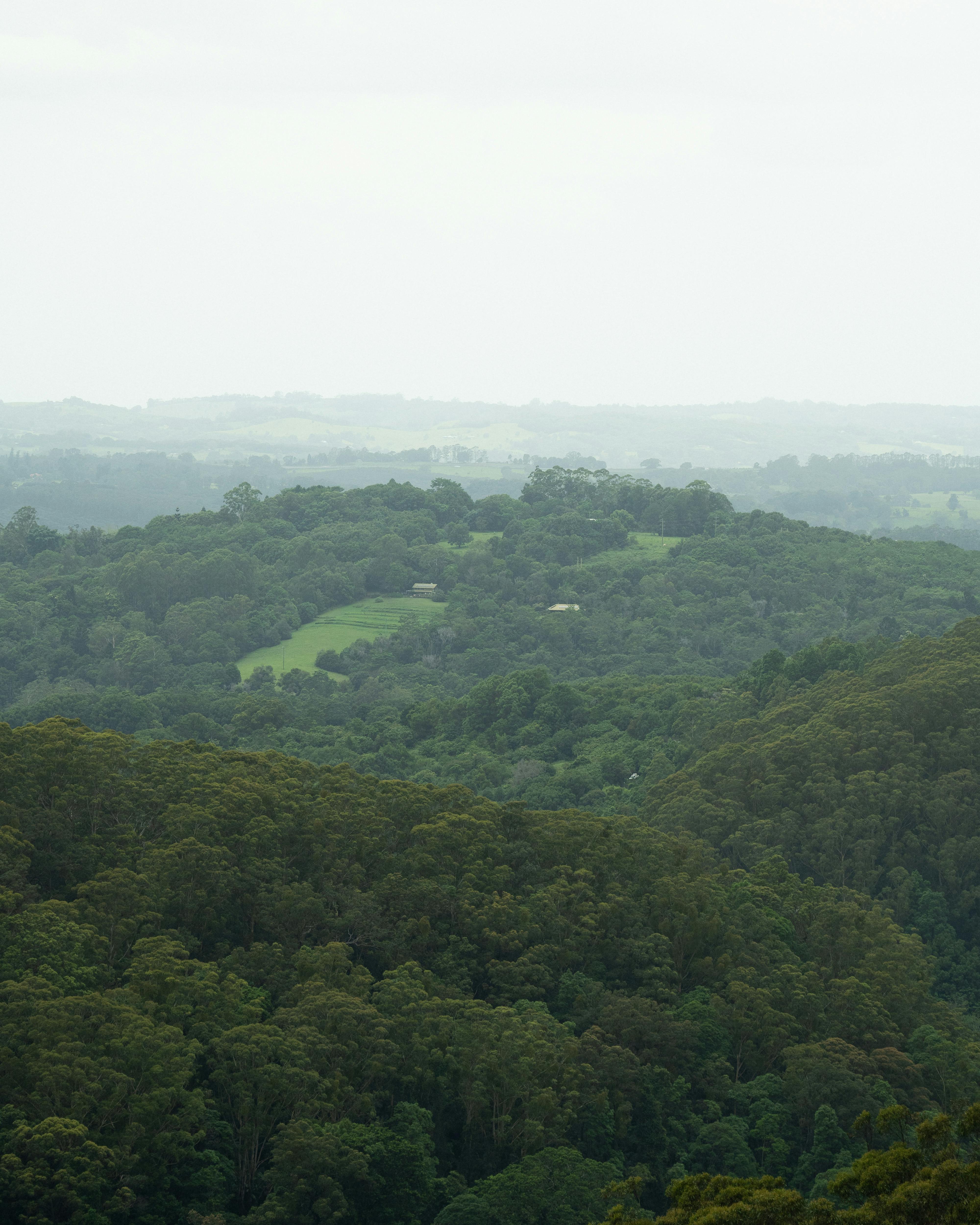 Aerial View of Green Trees on Mountain · Free Stock Photo