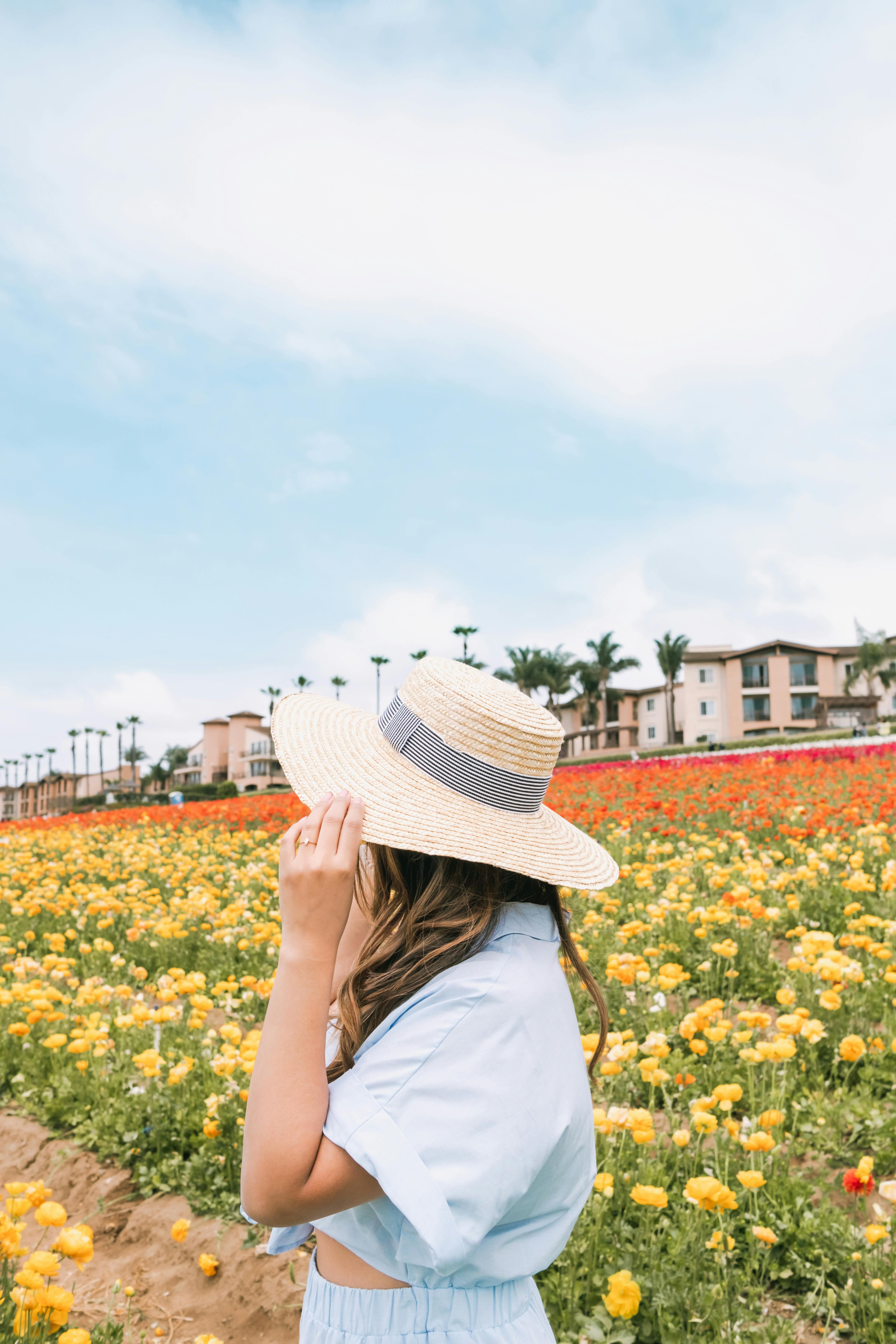 Person in Flower Field · Free Stock Photo