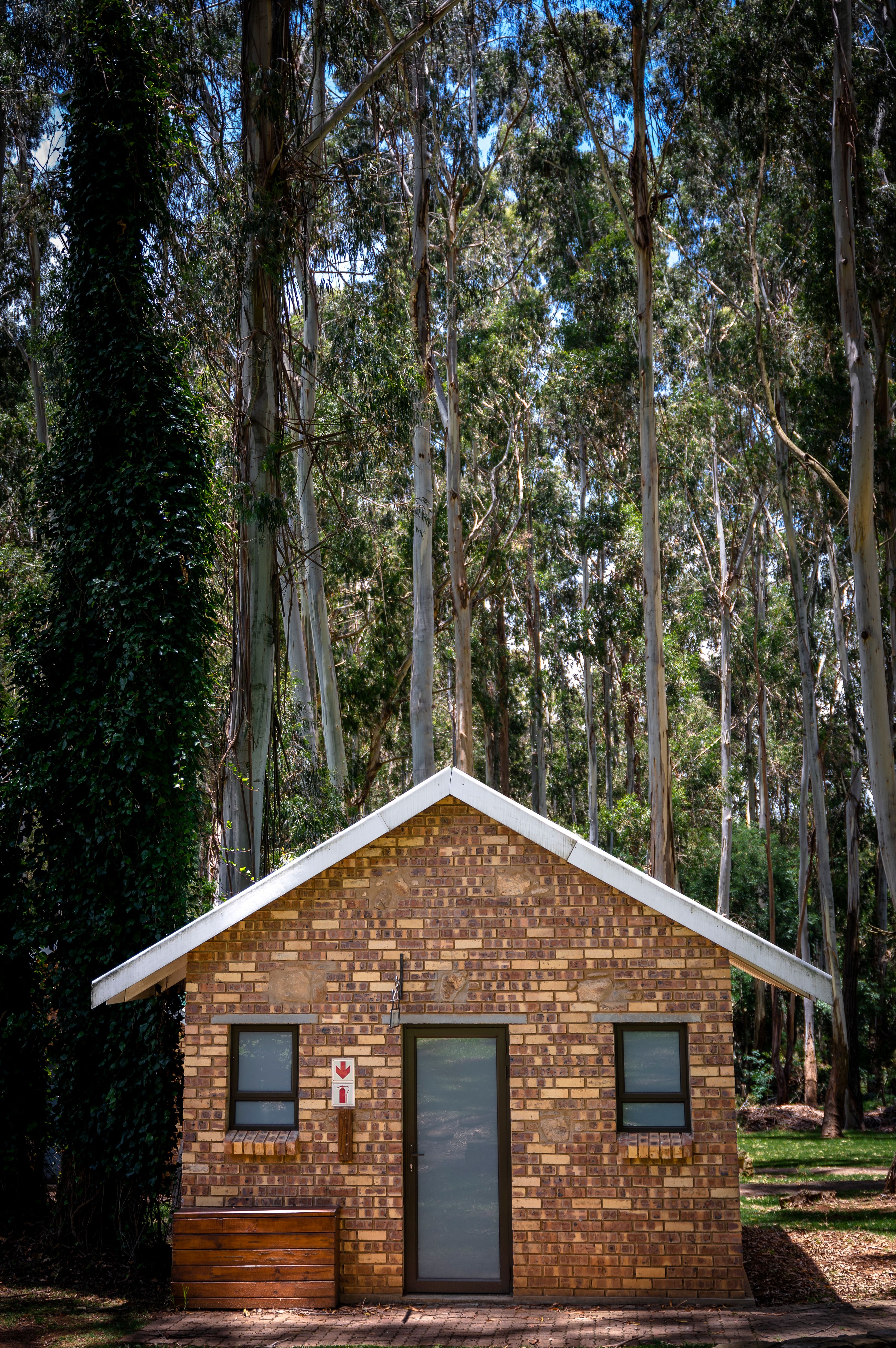 Wooden House in Wild Forest · Free Stock Photo