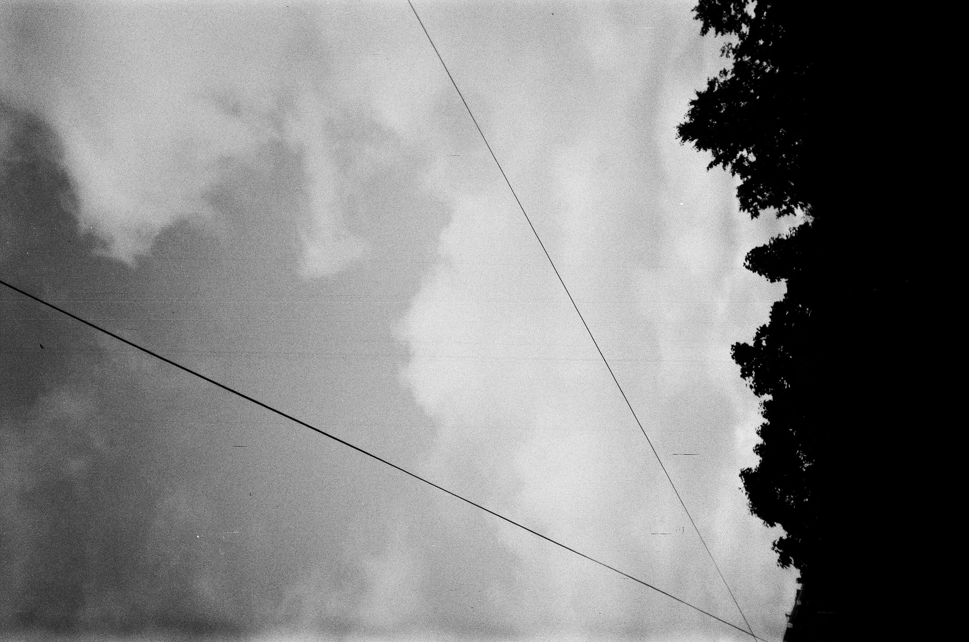Grayscale Photo of Tree Under Cloudy Sky · Free Stock Photo