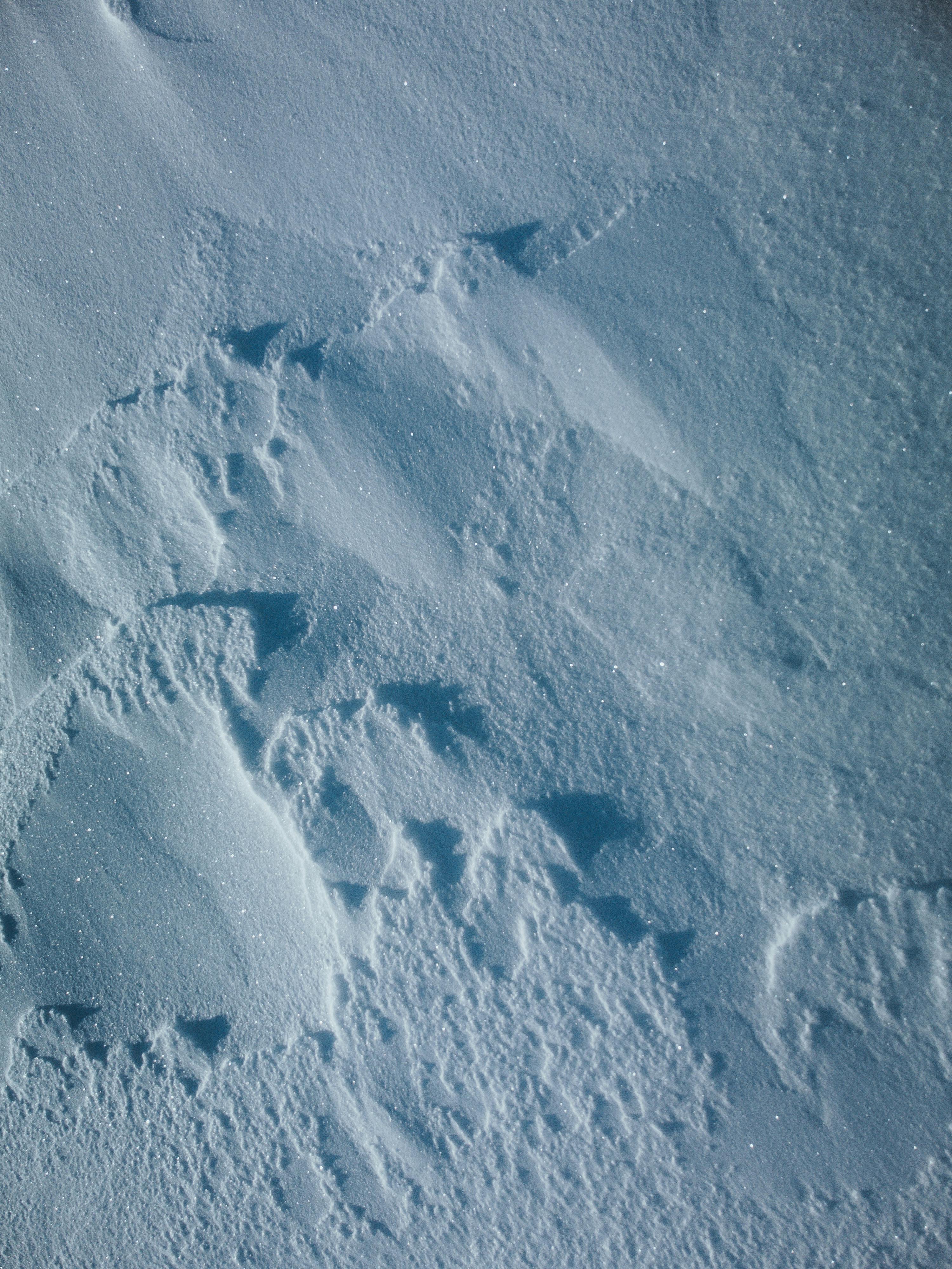 Snow-Covered Roof with Chimneys · Free Stock Photo