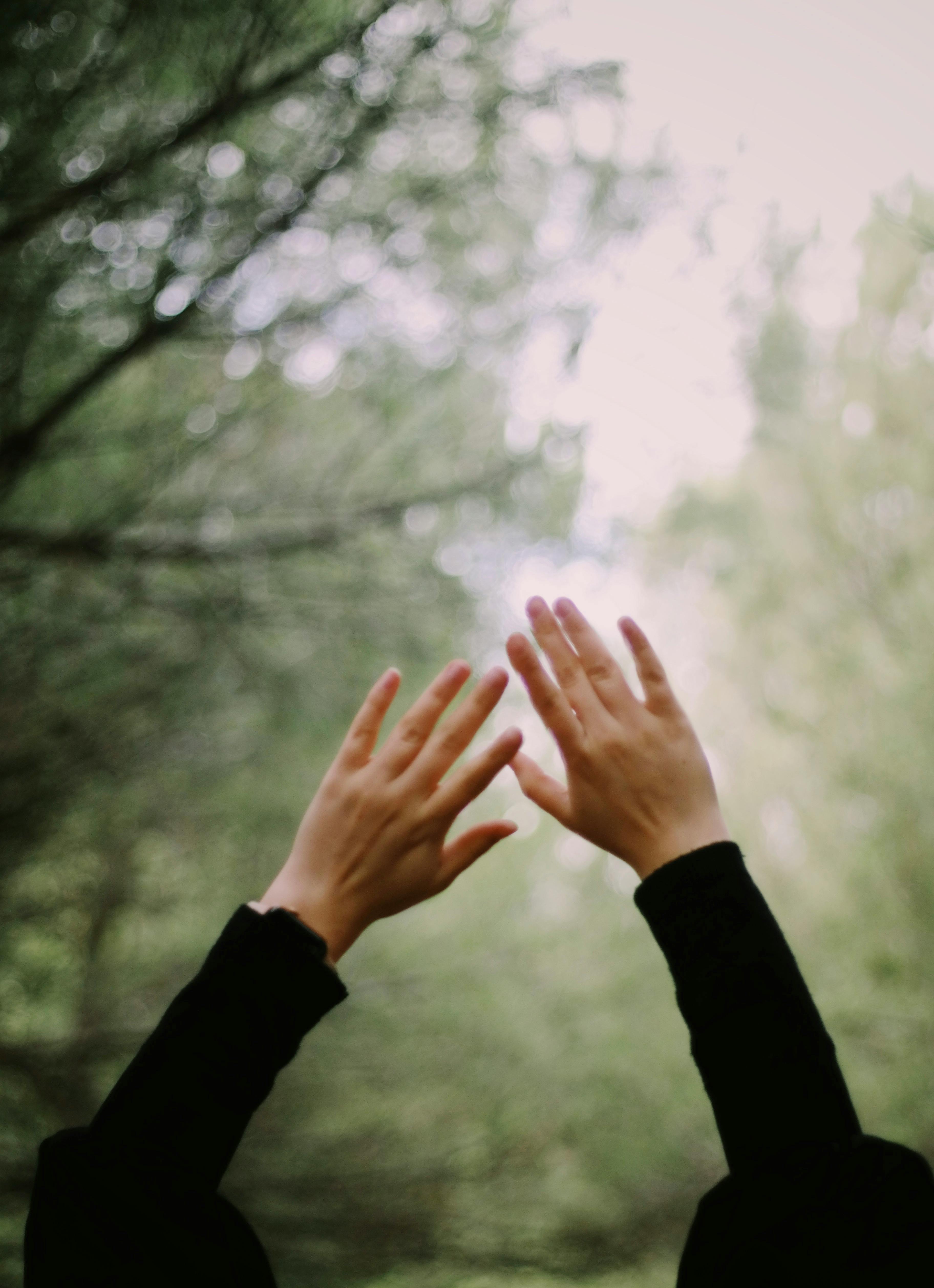 Person in Black Long Sleeve Shirt Raising Hands · Free Stock Photo