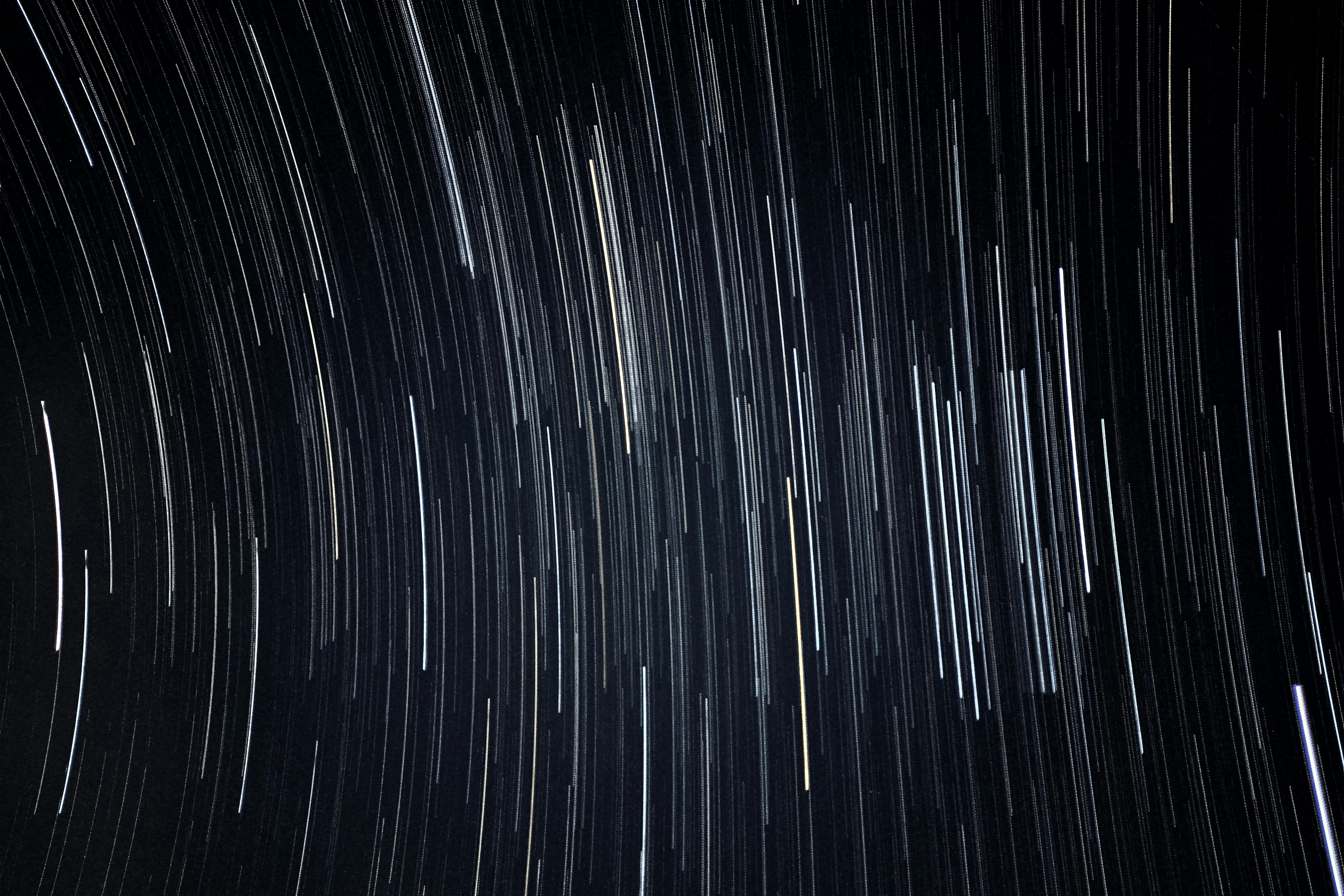 Long Exposure of Photography of Brown Tree · Free Stock Photo