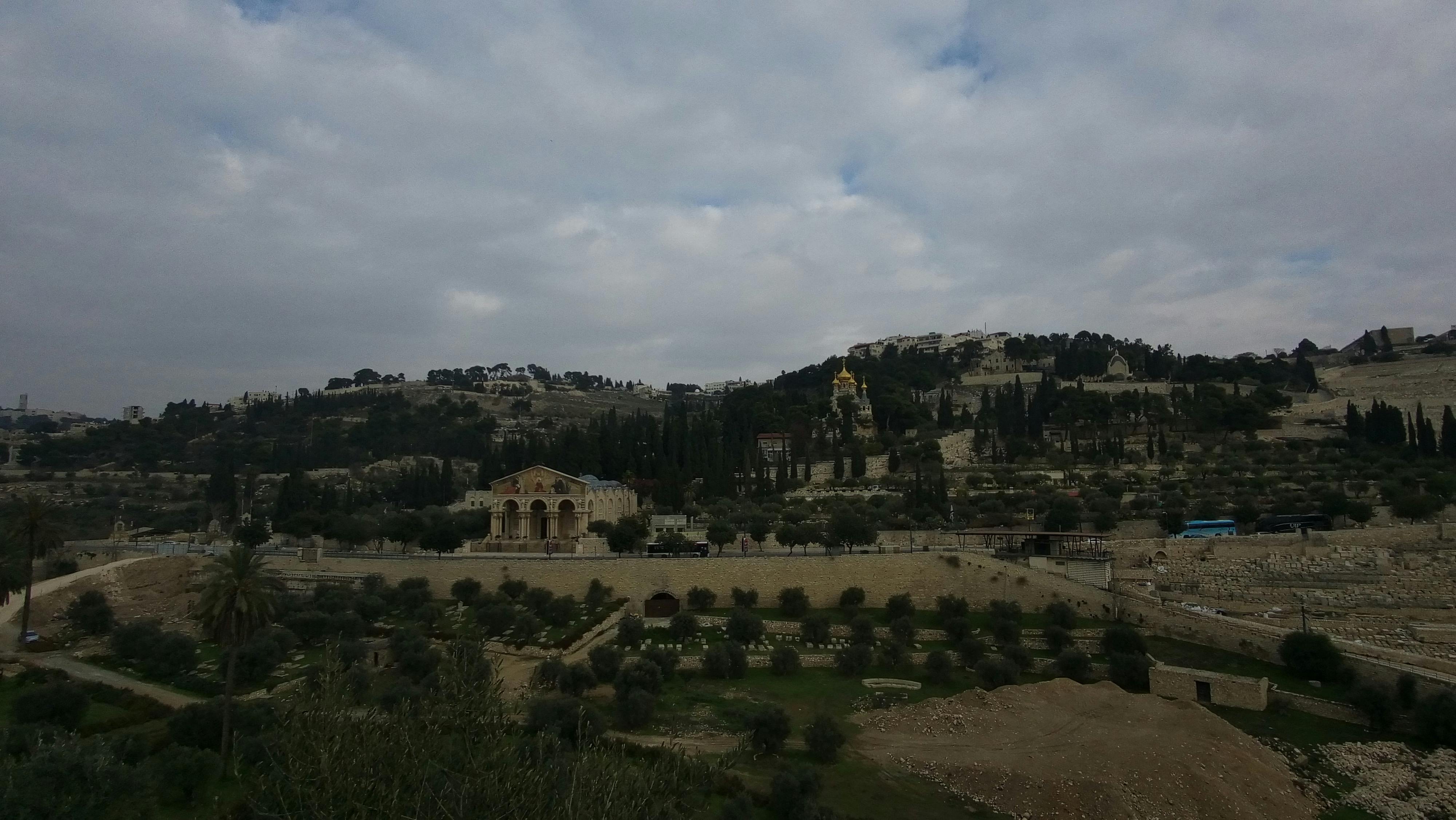 267,884+ Best Free Building landscape Stock Photos & Images · 100% ...