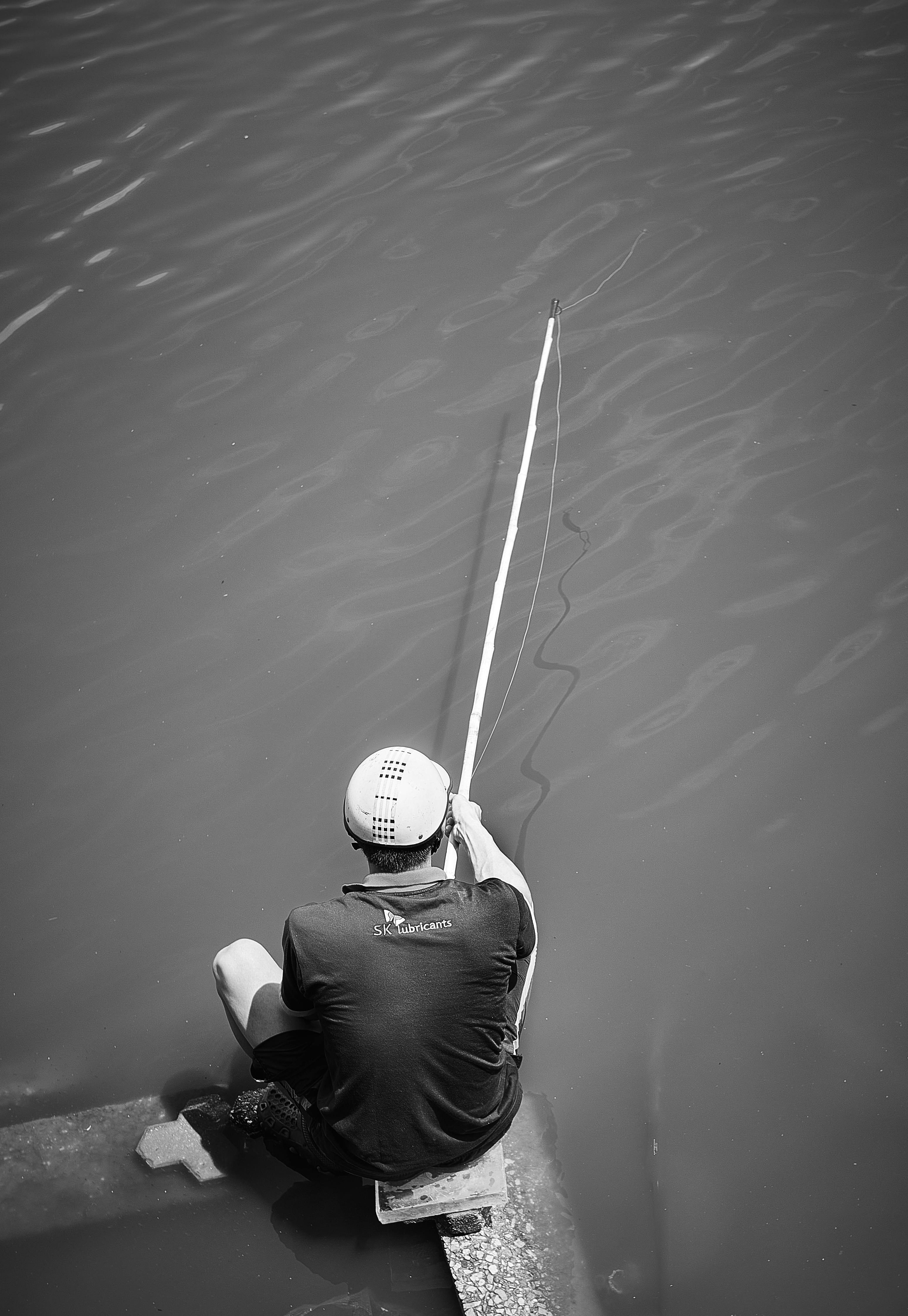 Fish Solo Photos, Download The BEST Free Fish Solo Stock Photos & HD Images