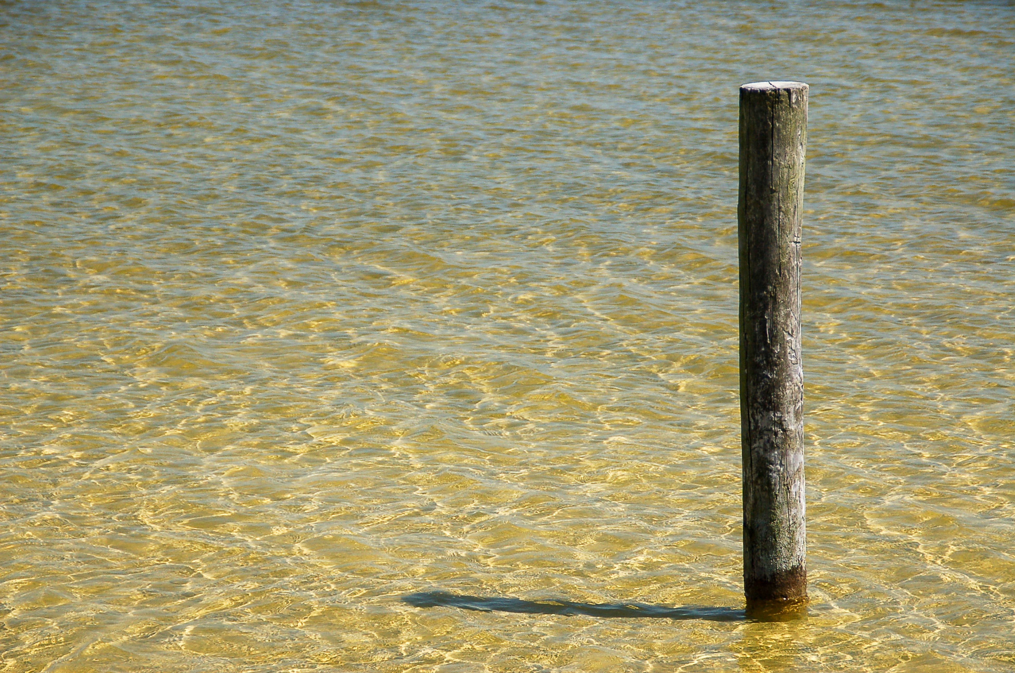 A Person in White Dress Standing on Water · Free Stock Photo