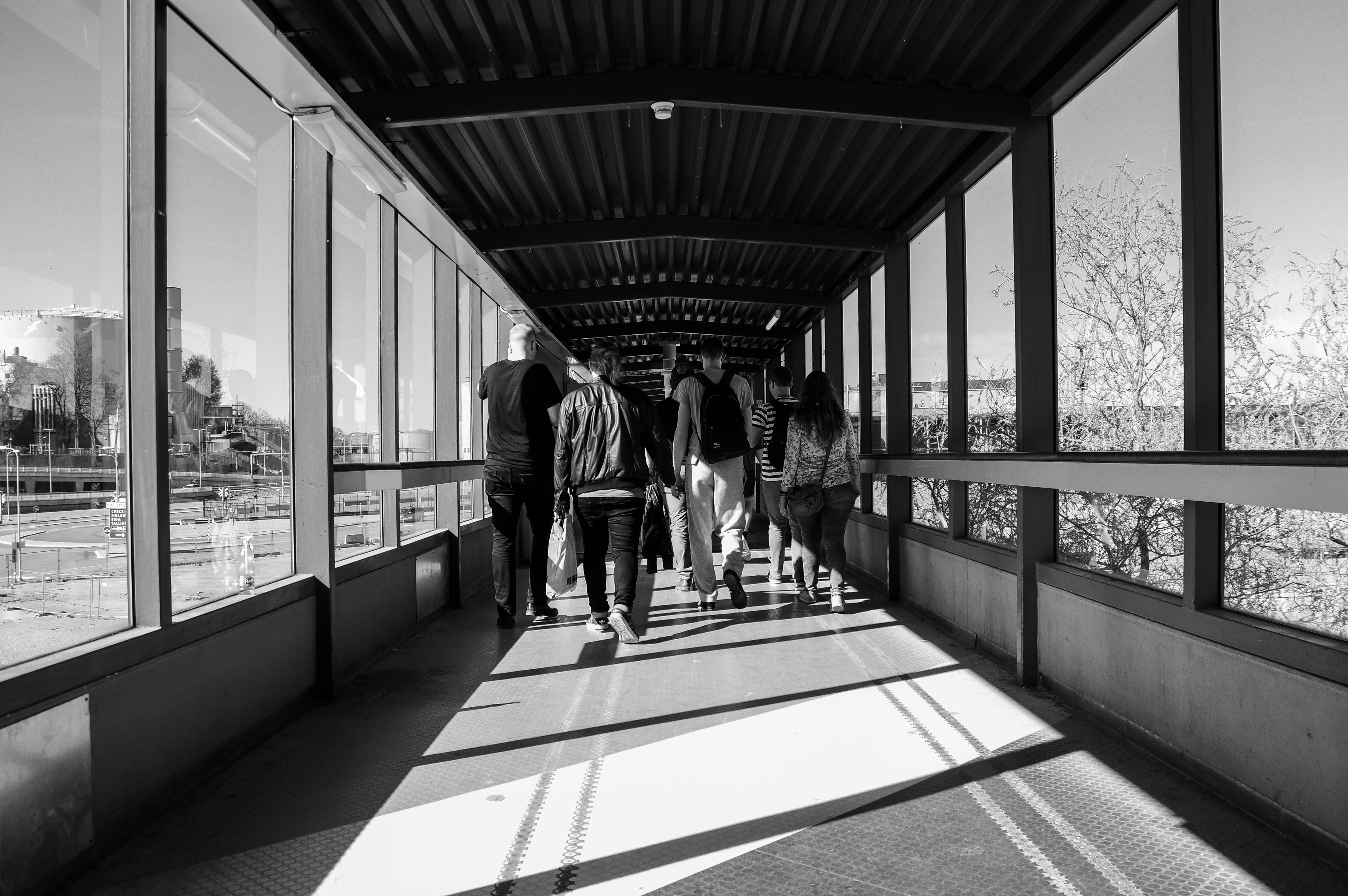 Group of People Walking Along Pathway · Free Stock Photo