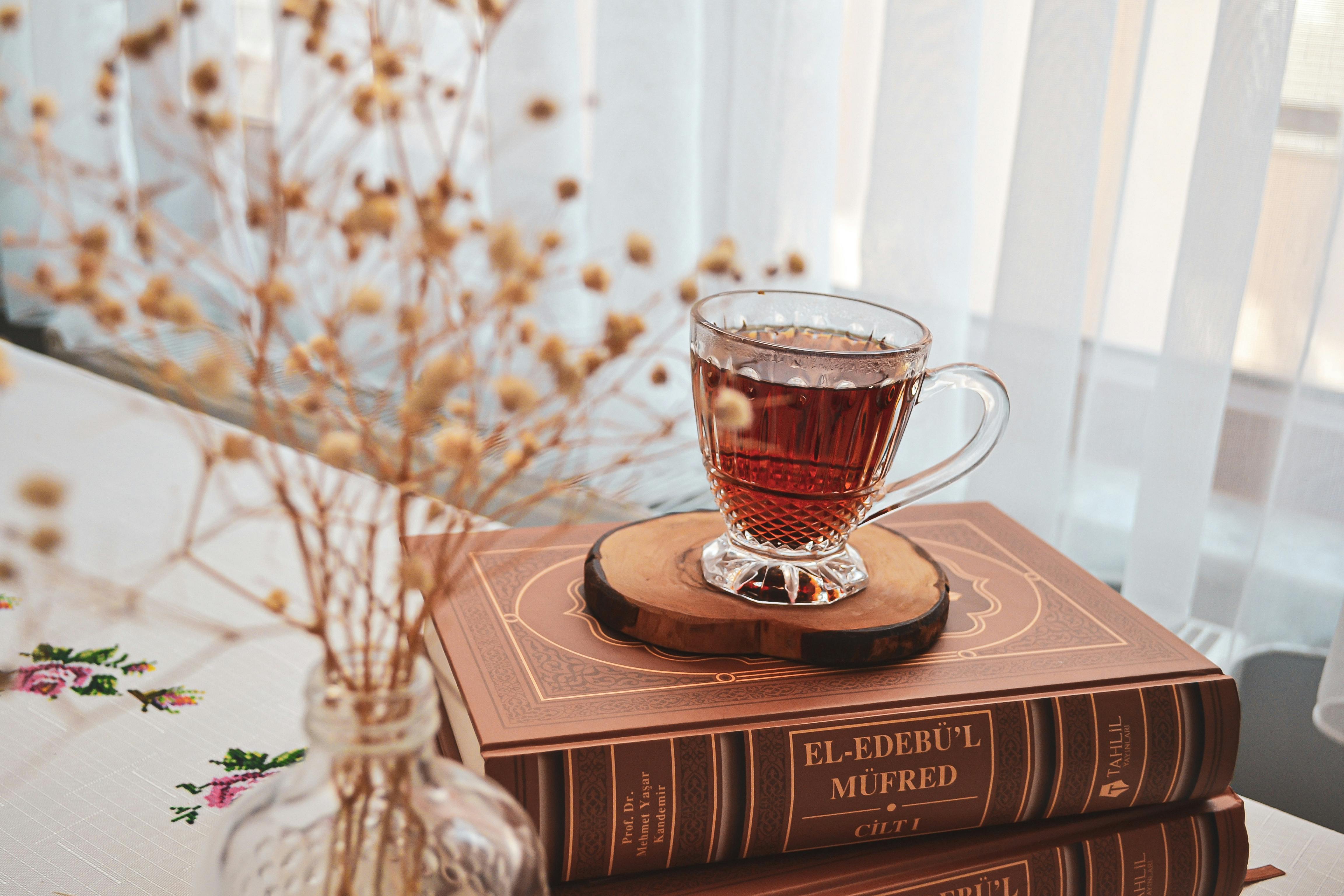 A Cup of Tea over an Open Book · Free Stock Photo