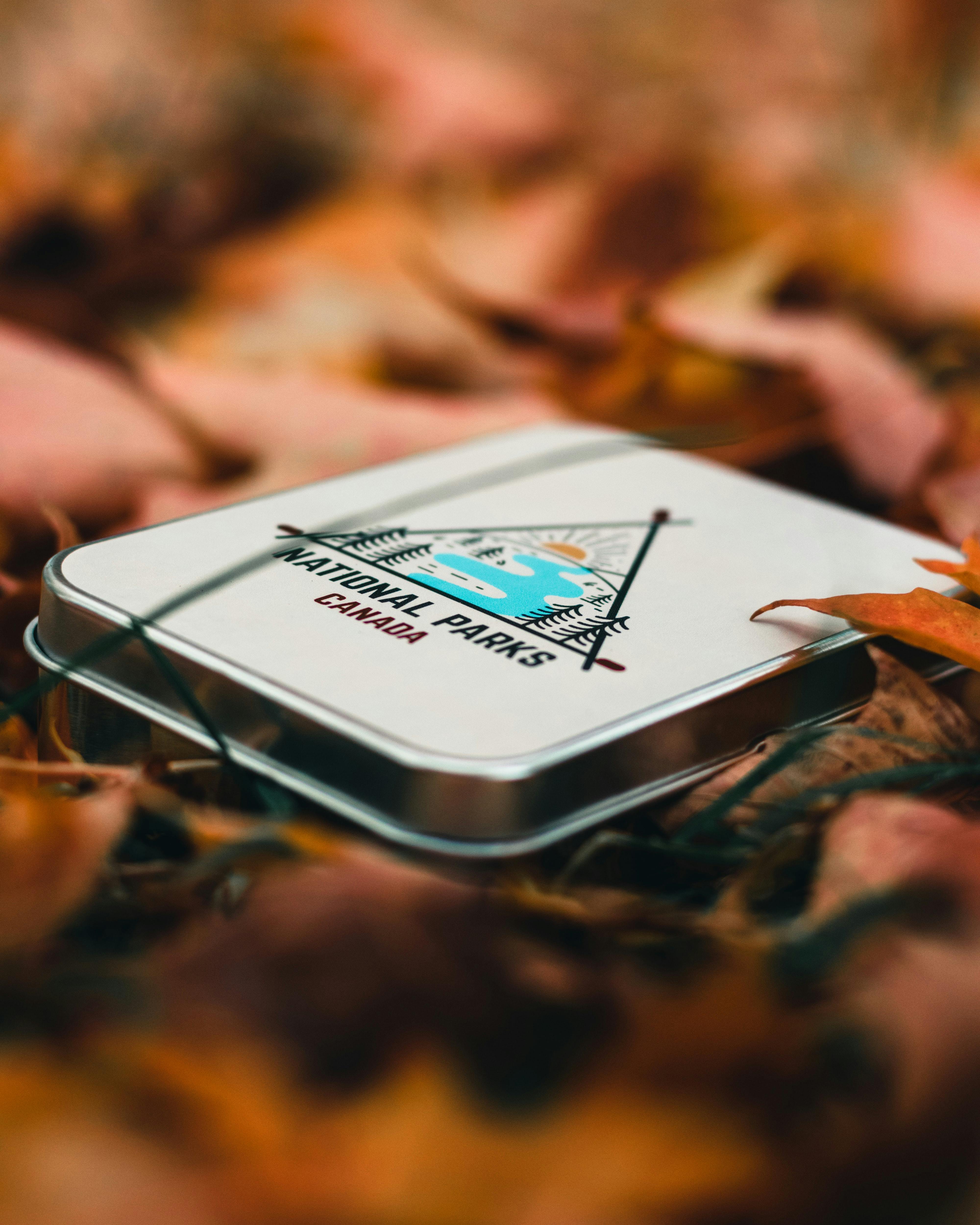 Metal Box Lying among Fallen Leaves · Free Stock Photo