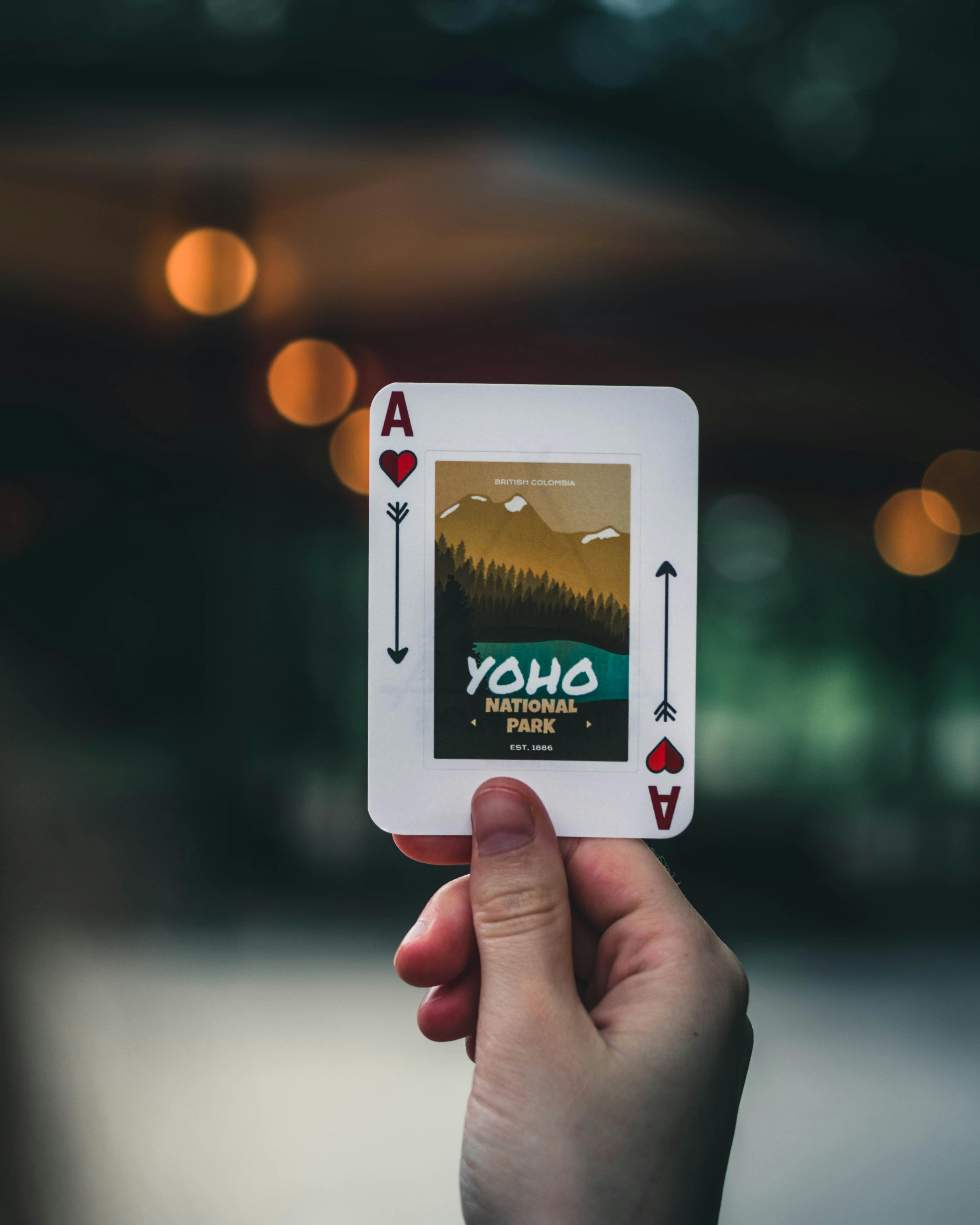 A Person Holding a Card · Free Stock Photo