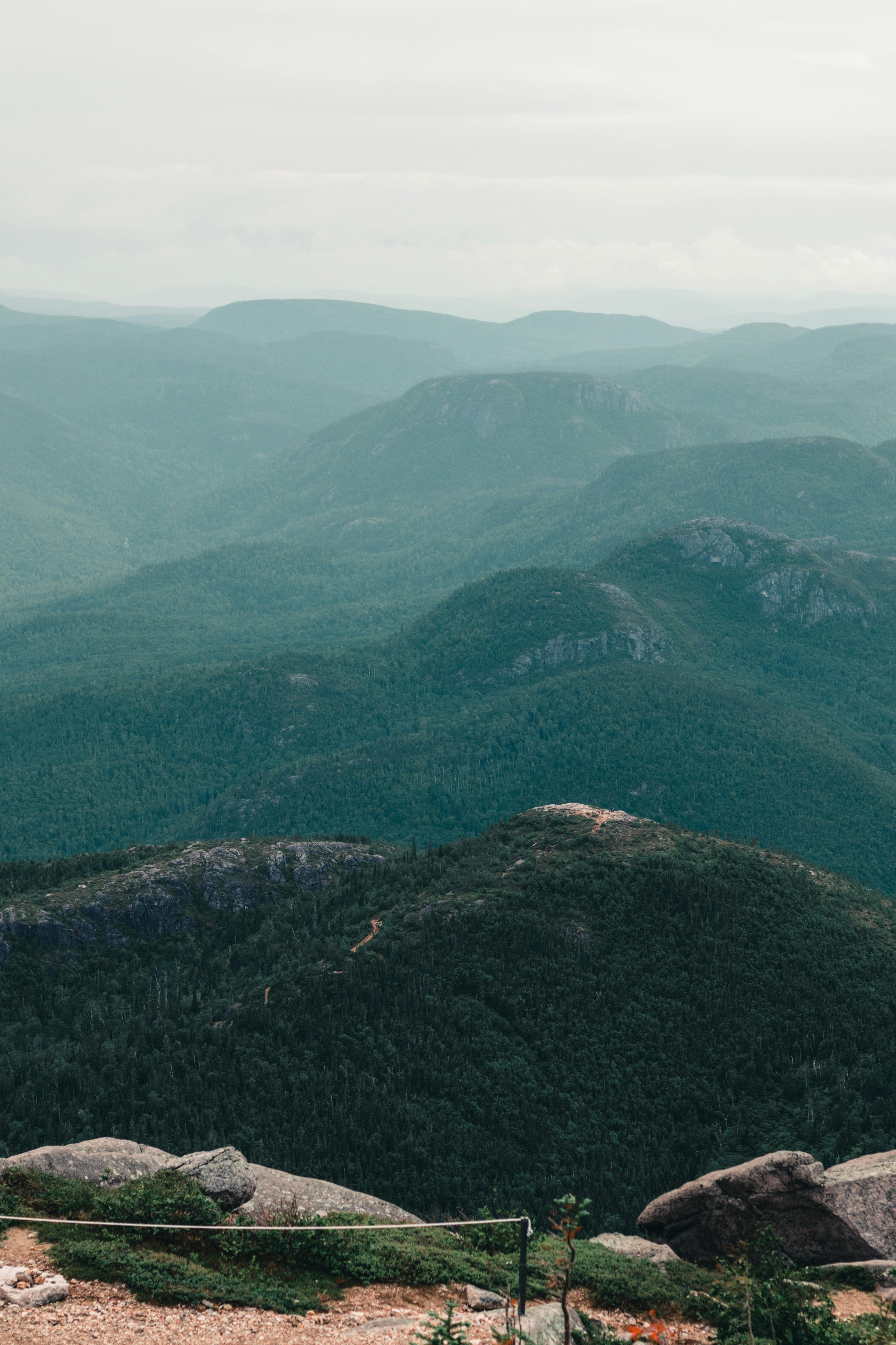 Chemin Rocheux Entouré D'herbe · Photo gratuite