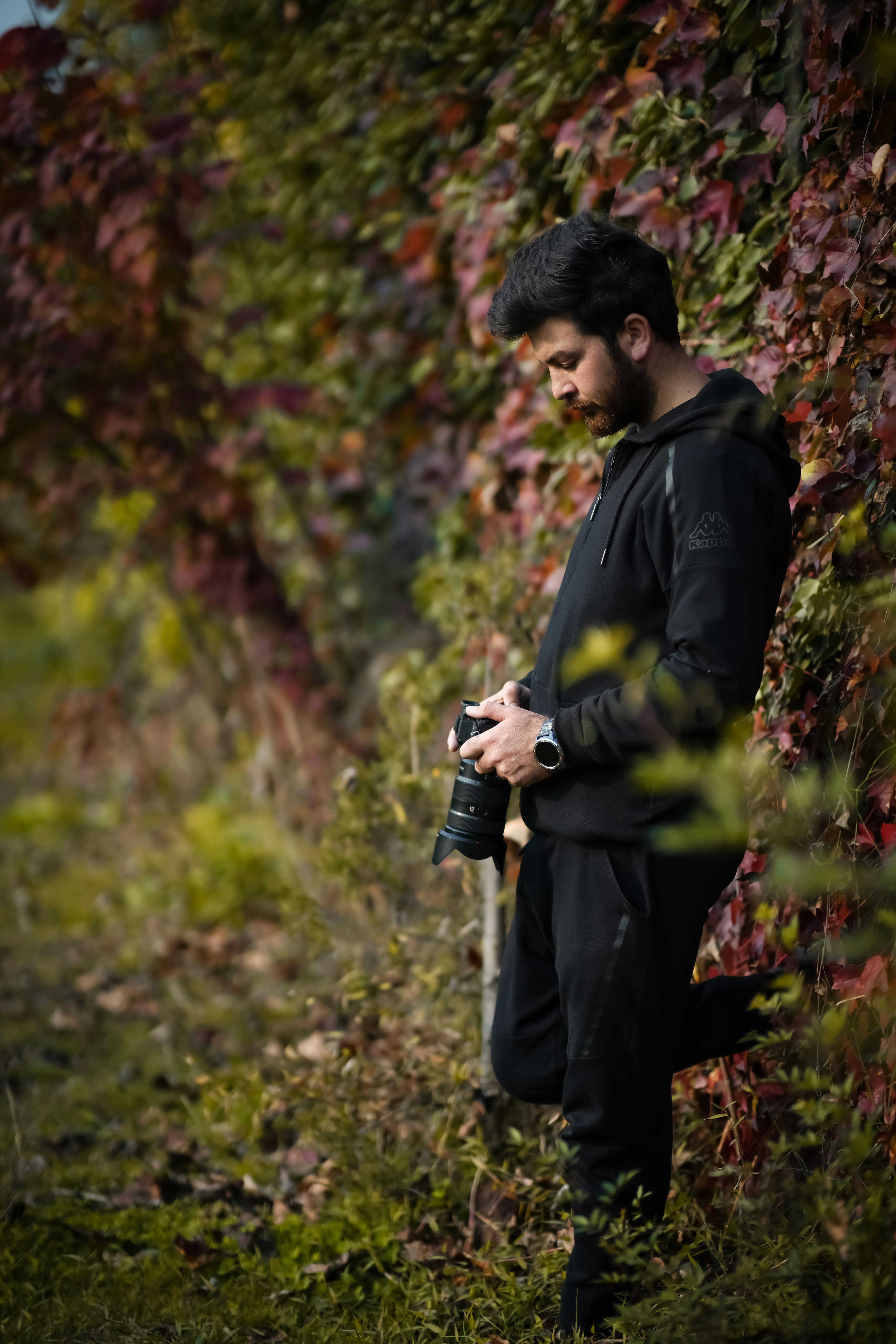 Vines Falling Down Photos, Download The BEST Free Vines Falling Down ...